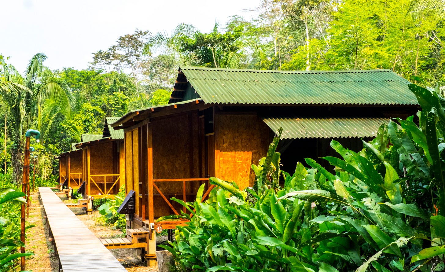 Connect with Nature in the Amazon Rainforests with Amazon Planet ...