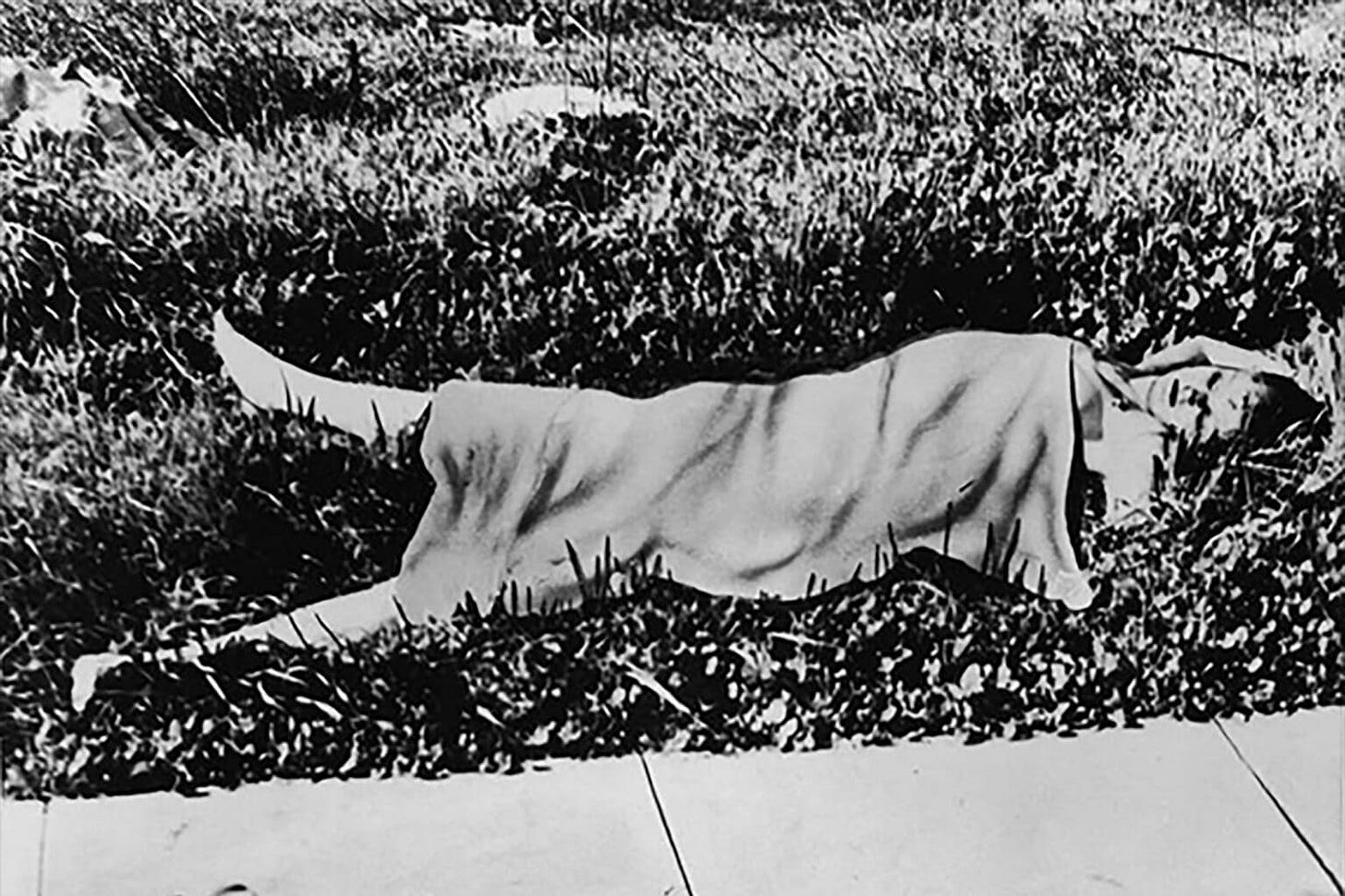 ¿Qué sucedió en el caso del asesinato de Elizabeth Short, la Dalia Negra?