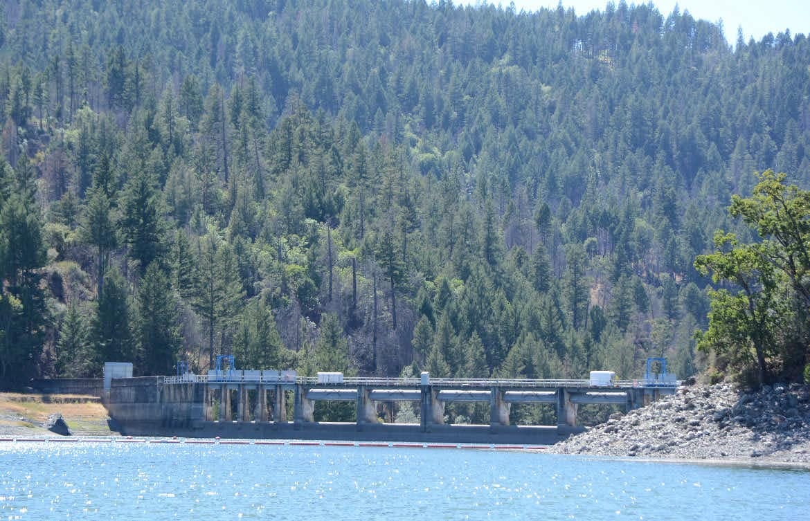 What Really Happened to the Salmon? The TRUTH About the Potter Valley Dams