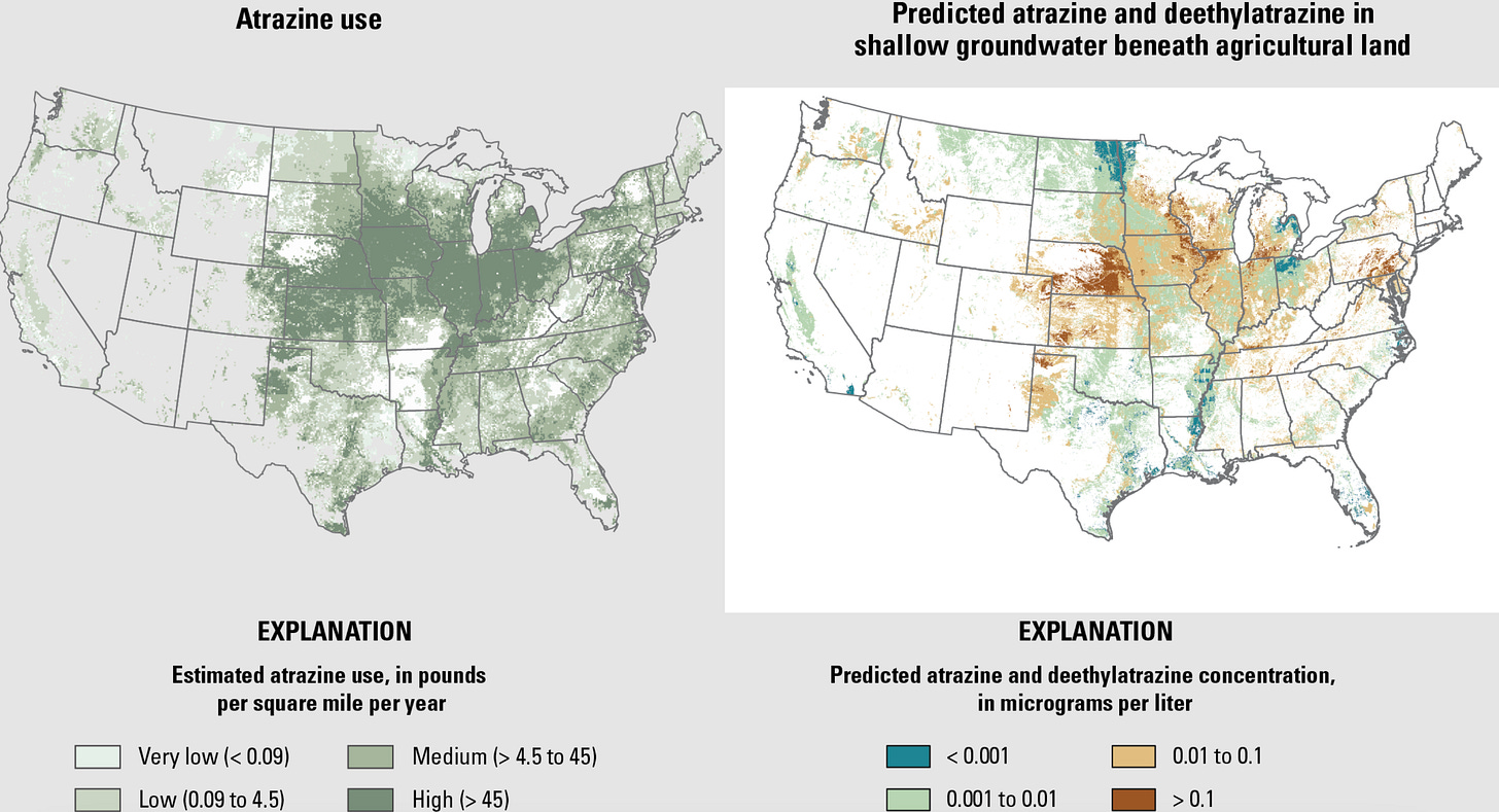 Atrazine and the "Bent Science" - by Robert W Malone MD, MS