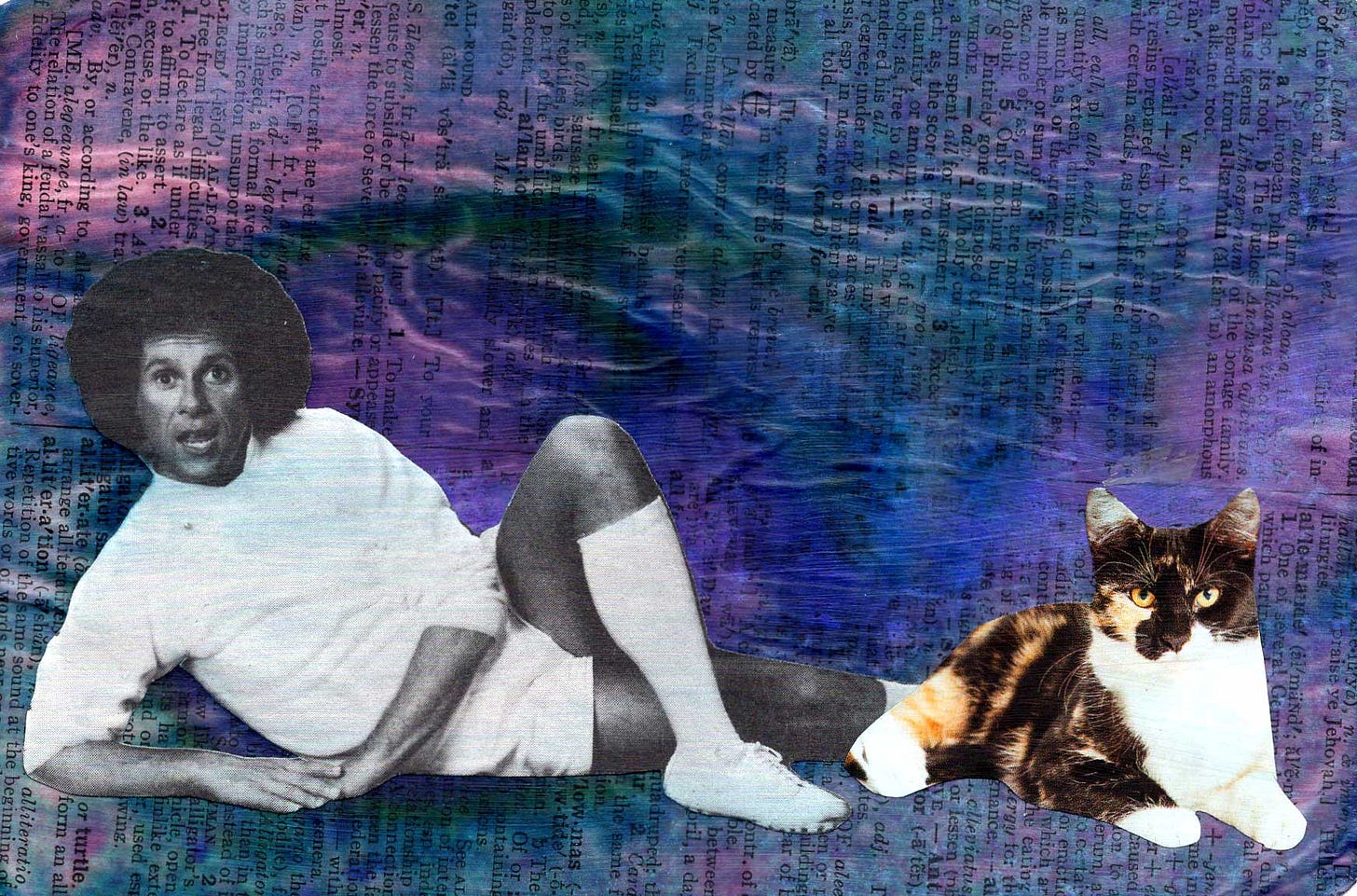 Richard Simmons exercising with cats - by Jen Russell