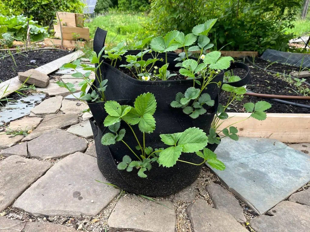 How to Use Different Garden Methods to Improve your Gardening