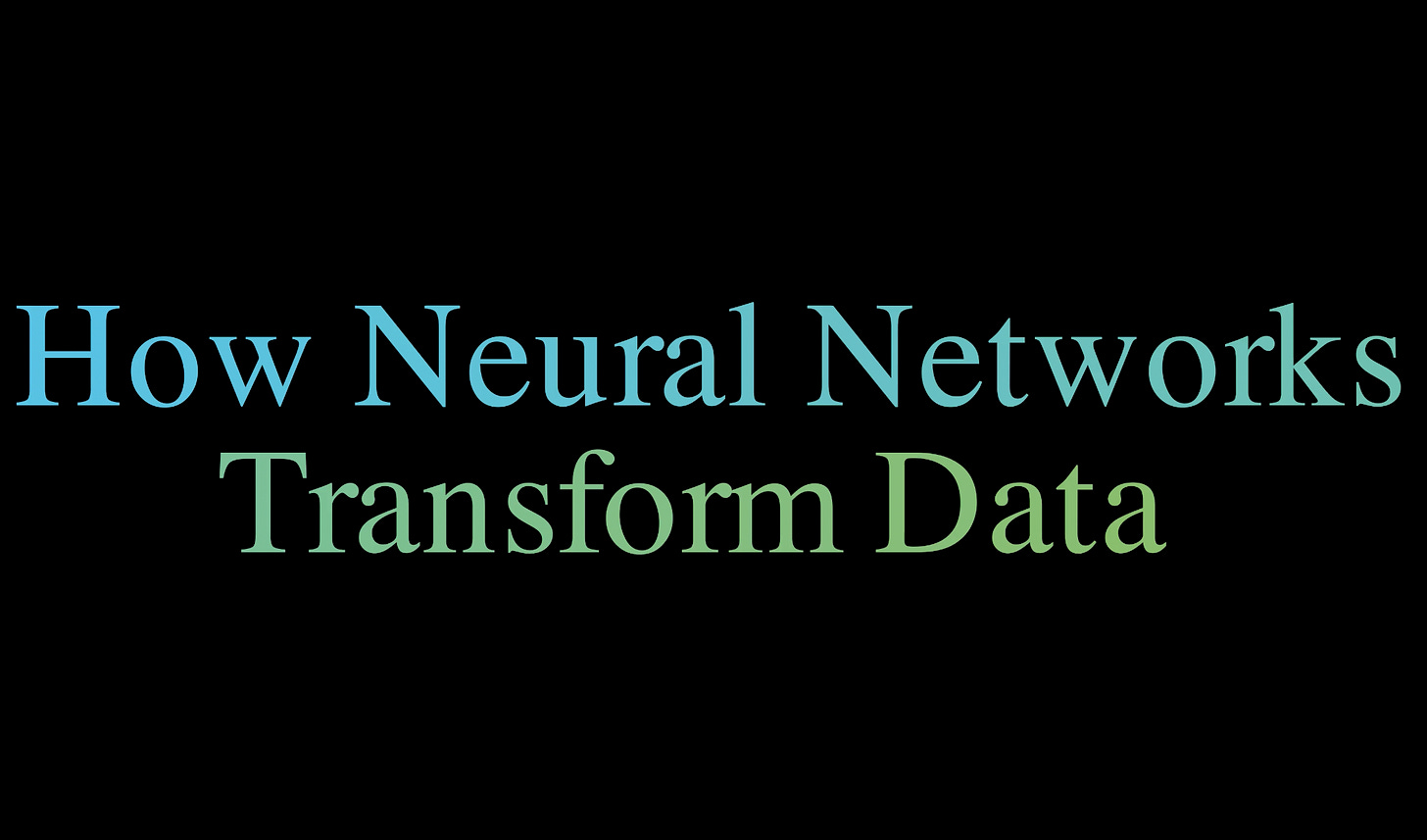 Visualizing The Data Transformation of a Neural Network