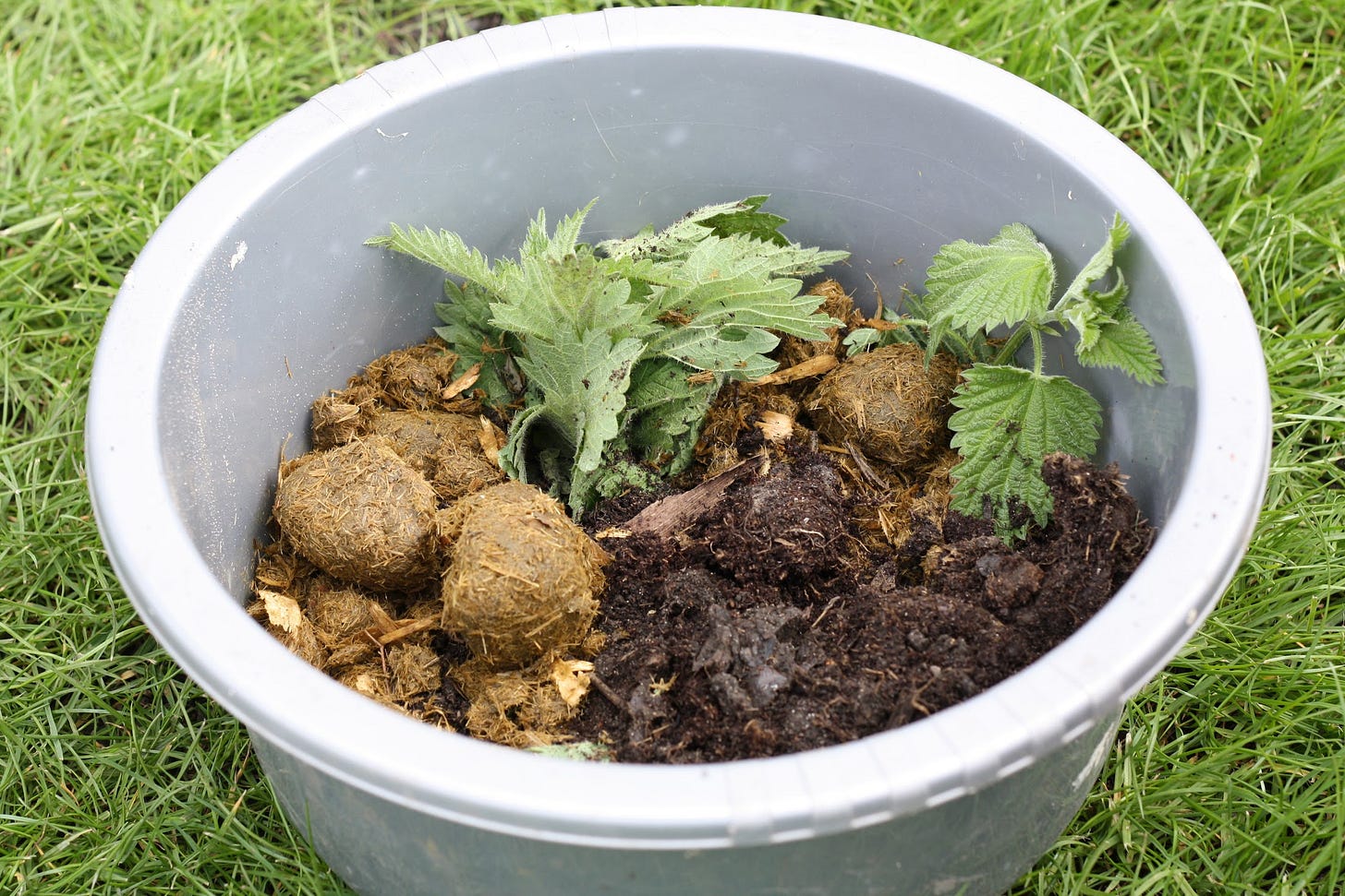 #7 Make you own liquid feeds and apply once a month.