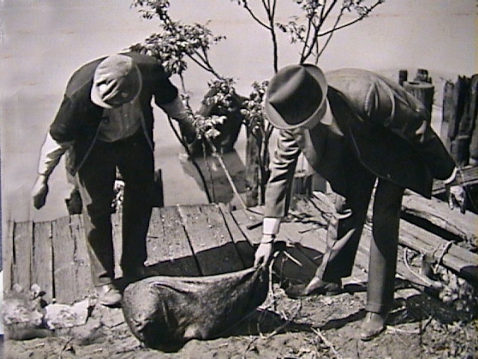 The Mad Butcher of Kingsbury Run – True Crime Weekly