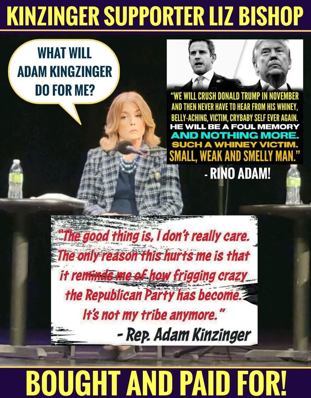 KISS THE RING - by Crystal Loughran for Illinois