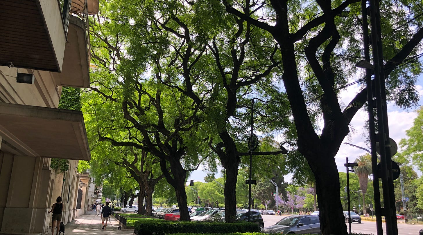 What Government Governs Best? - Classical Wisdom