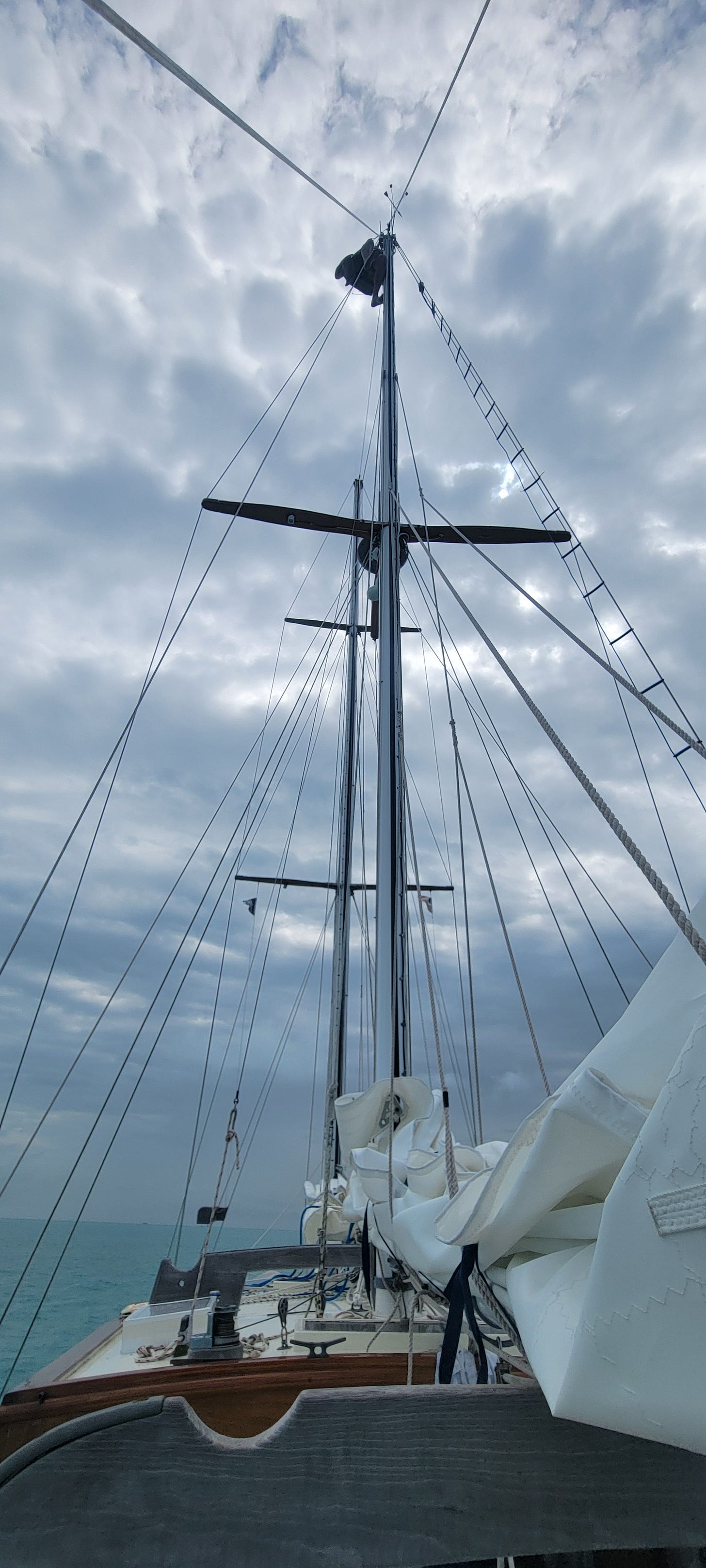 SPARS & SPARRING - by Janice Anne Wheeler