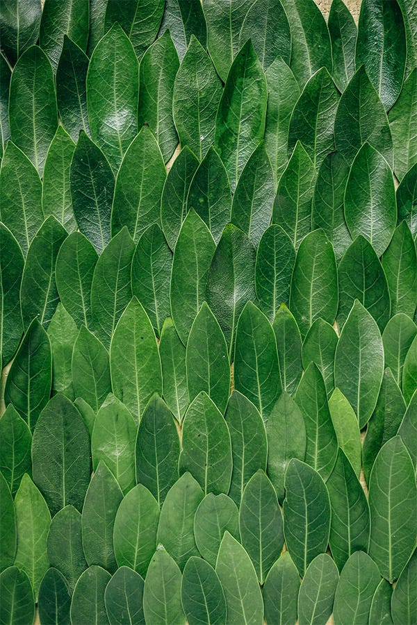 Patterns in Photography: Showcase of Beautiful Patterns