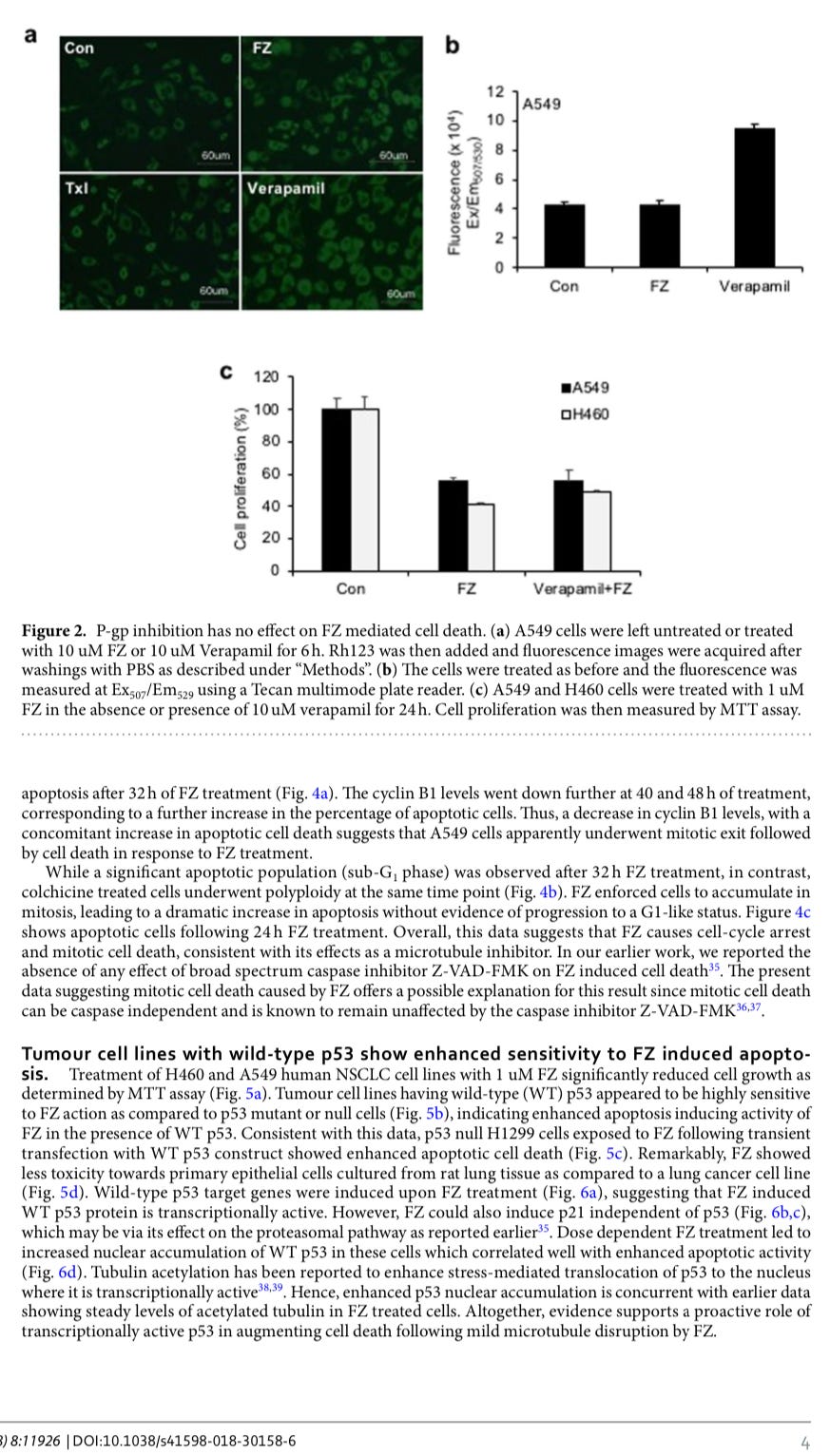 The Joe Tippins Cancer Protocol - by Dr Margaret Aranda