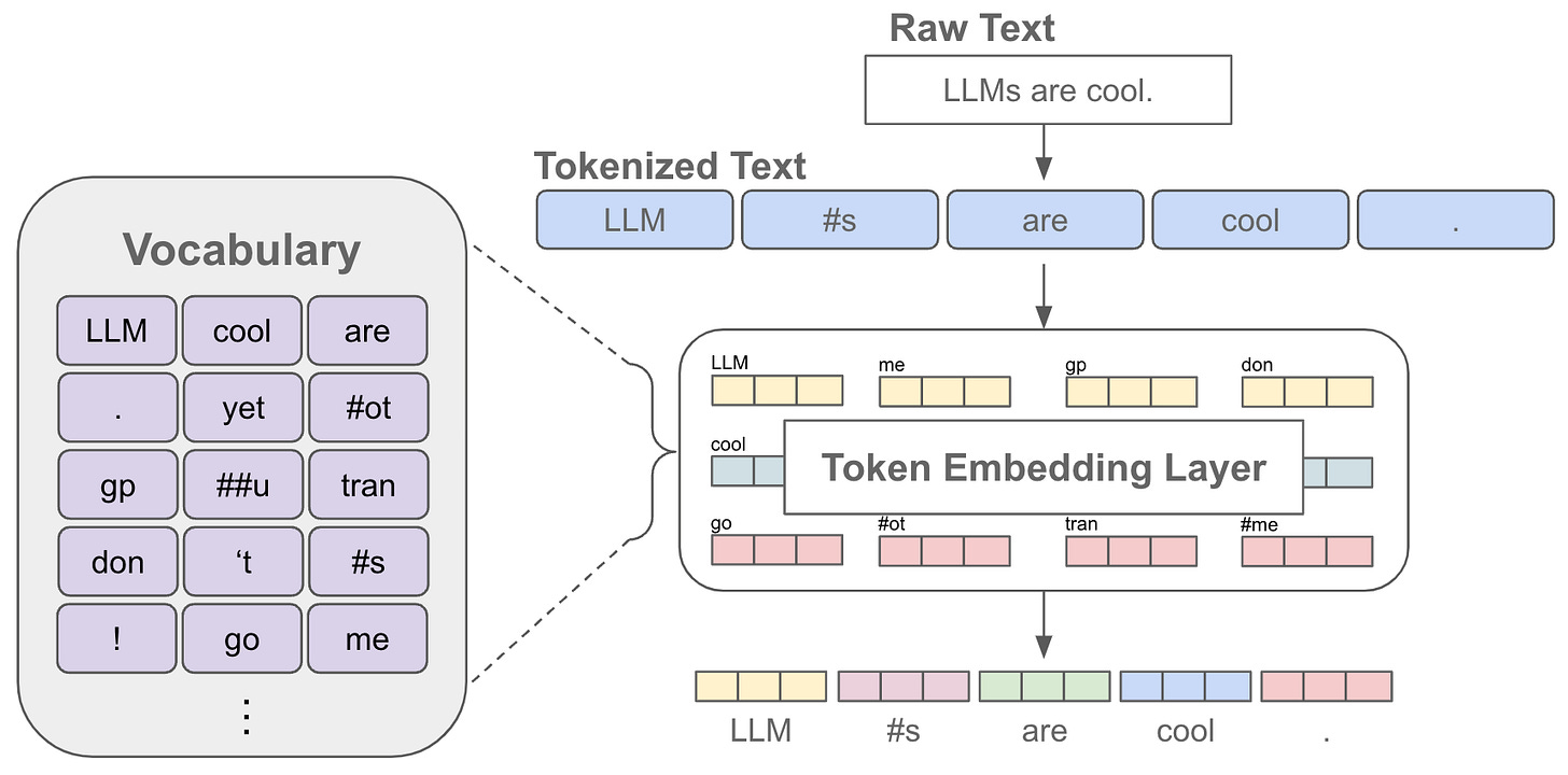 Decoder-Only Transformers: The Workhorse of Generative LLMs