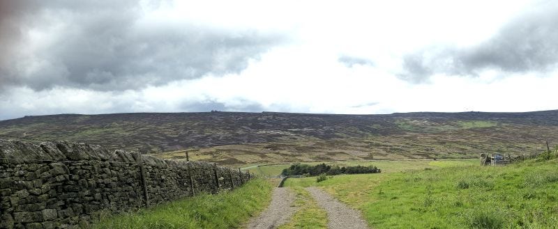 Moscar Moor: a blight on the Peak District - Protect the Wild