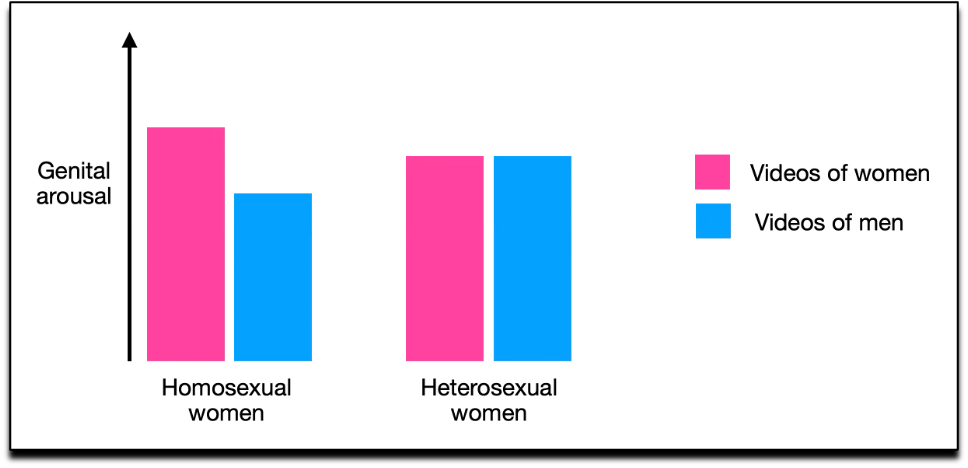 Sex Differences in Sexuality: A Key to Understanding Autogynephilia