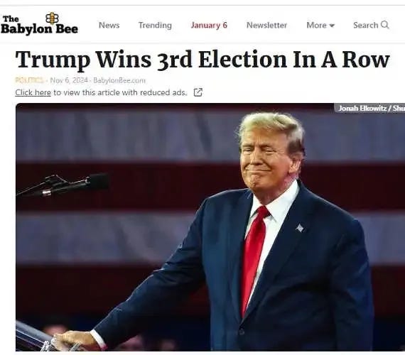 Ann Barnhardt Memes - Edwin’s Newsletter #1