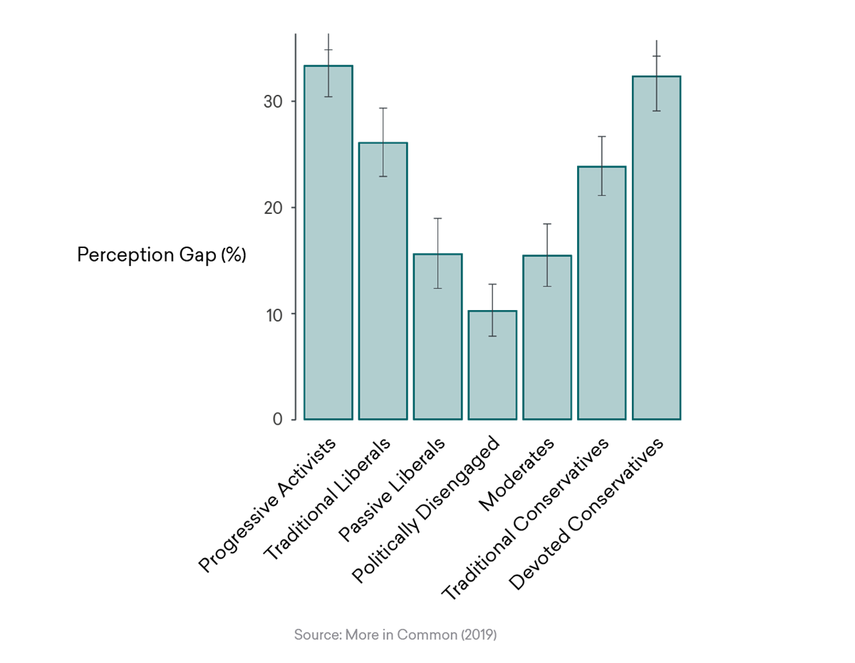 What We Get Wrong About Each Other: Perception Gaps