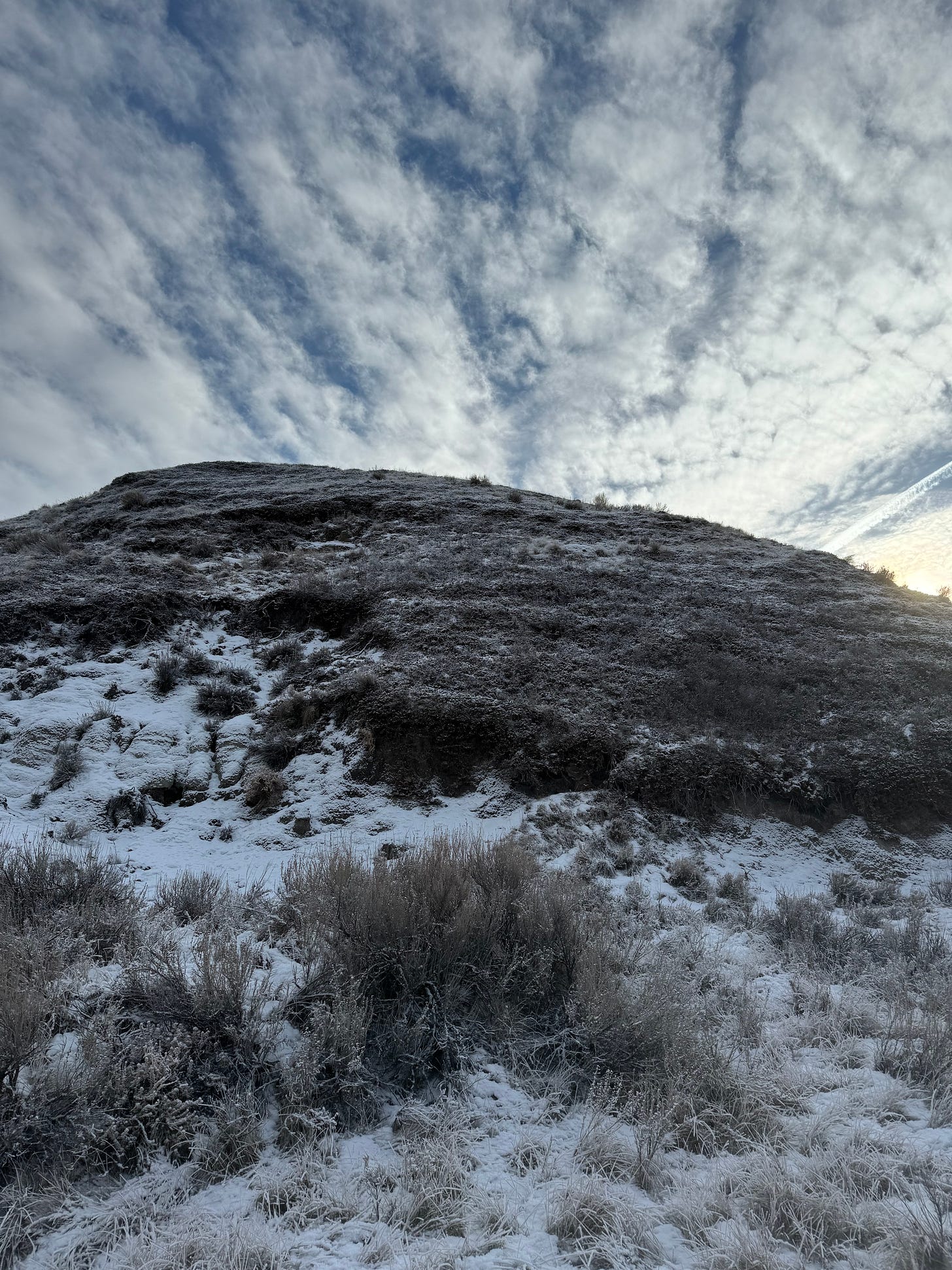 The Unappreciated Gift - by Monte Solberg - Wonderstruck