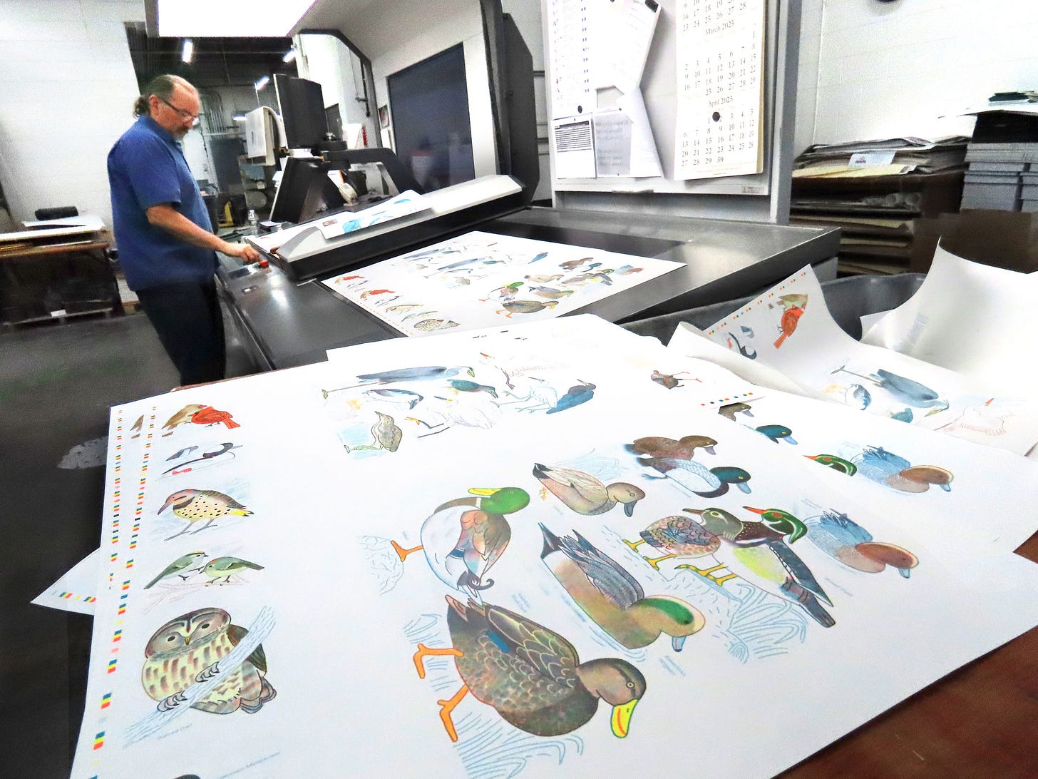 100 Birds of Rhode Island - by JooHee Yoon