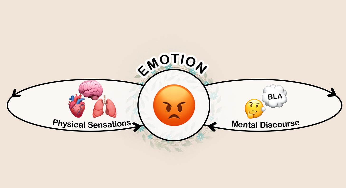 Mindfulness (6/6): Mindfulness of Emotions 2 and Conclusion - Wake Up ...