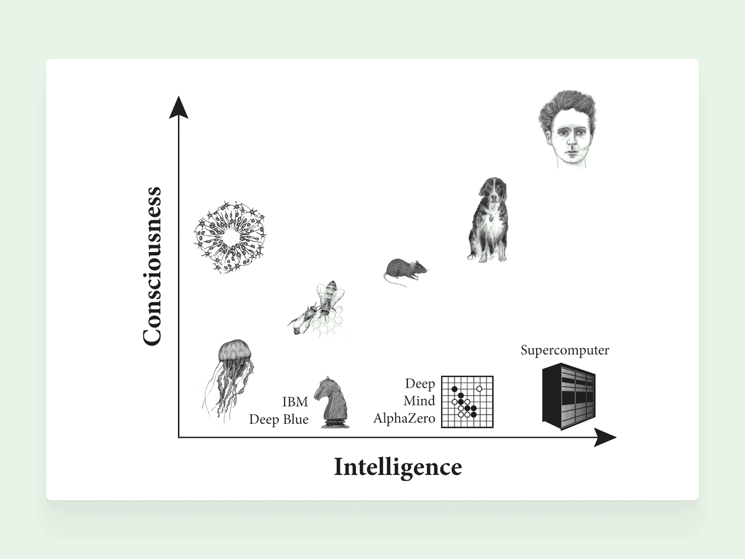 Lab-Grown Human Brain Embodied in a Virtual World