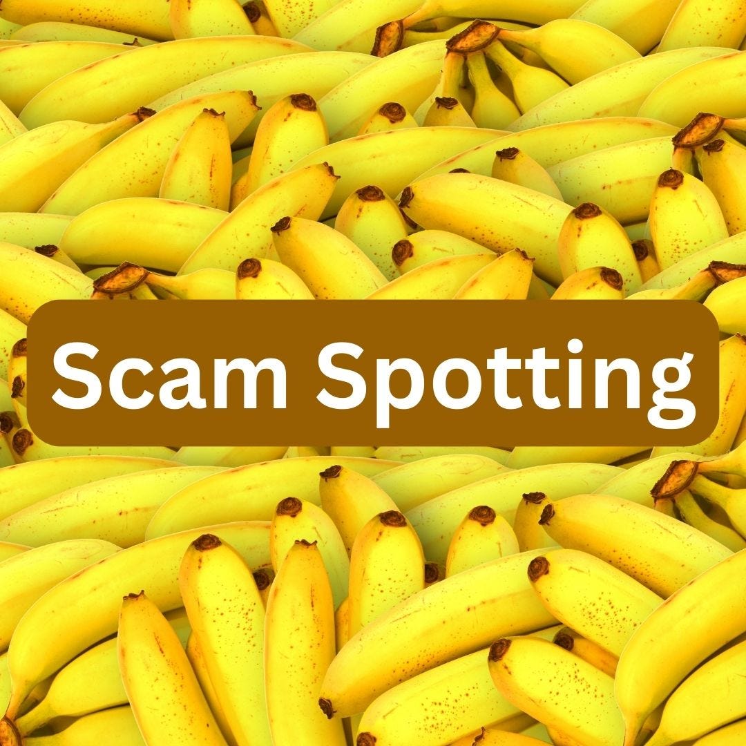 Scam Spotting - Lies are Unbekoming