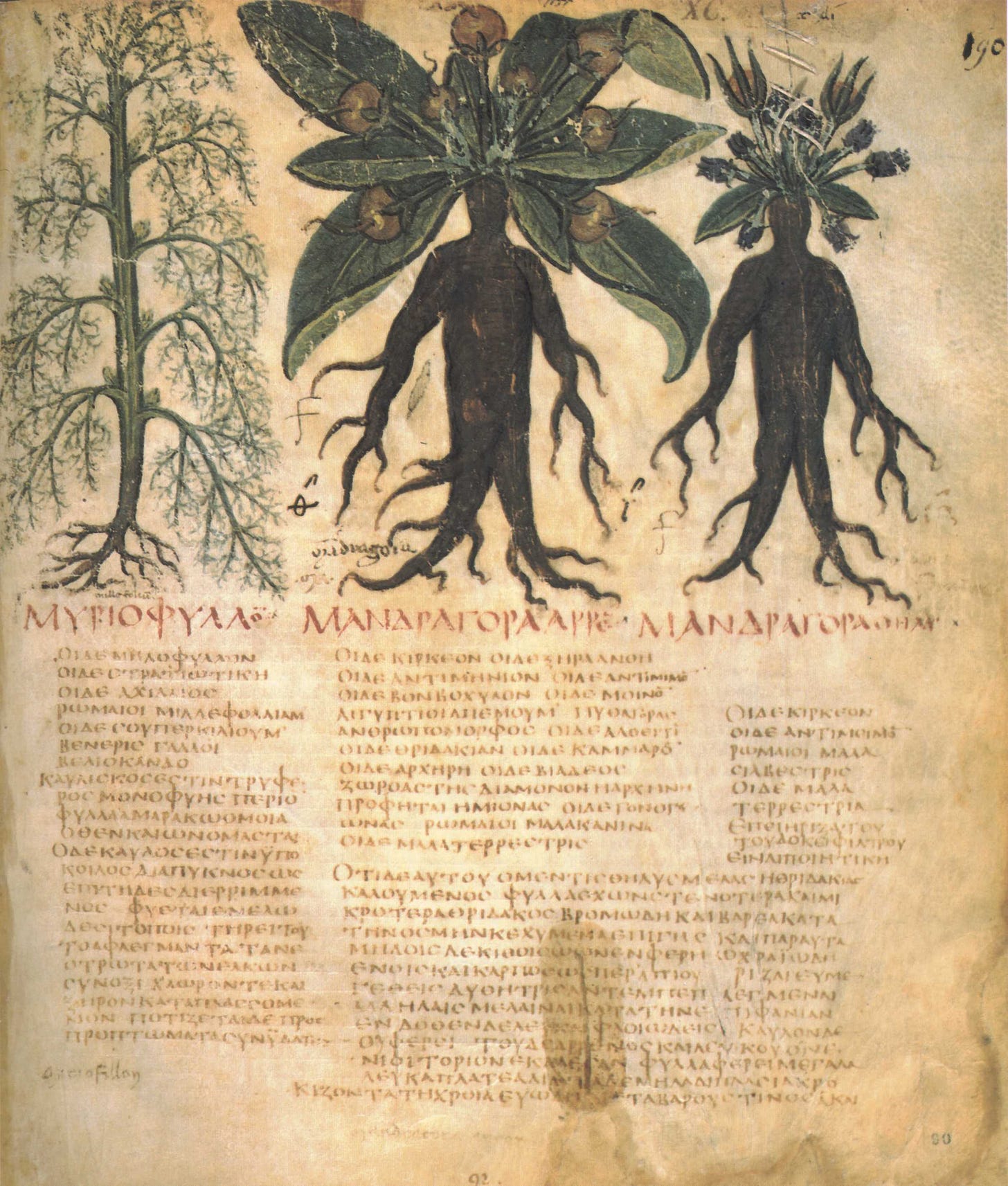 Ancient Texts and the History of Medicine
