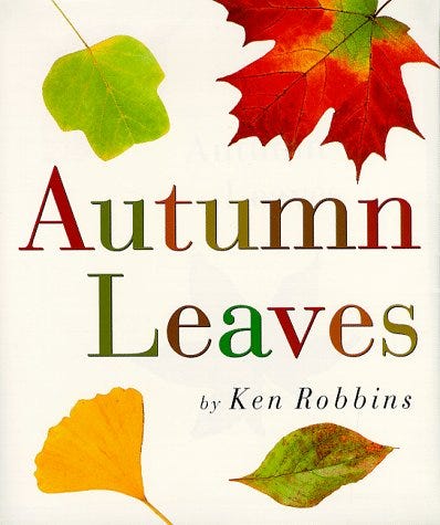 Leaves & Lit: Autumn Picture Books