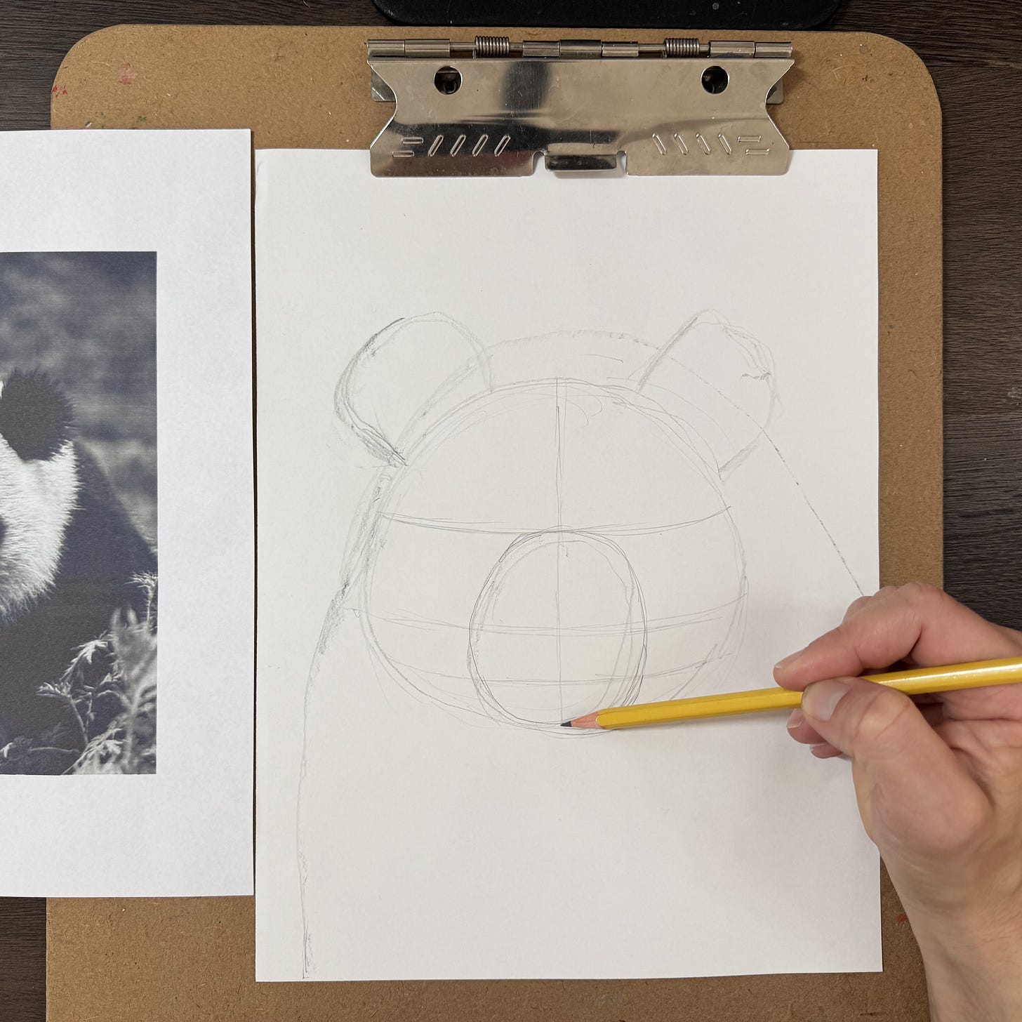 How To Draw A Panda On Lined Paper