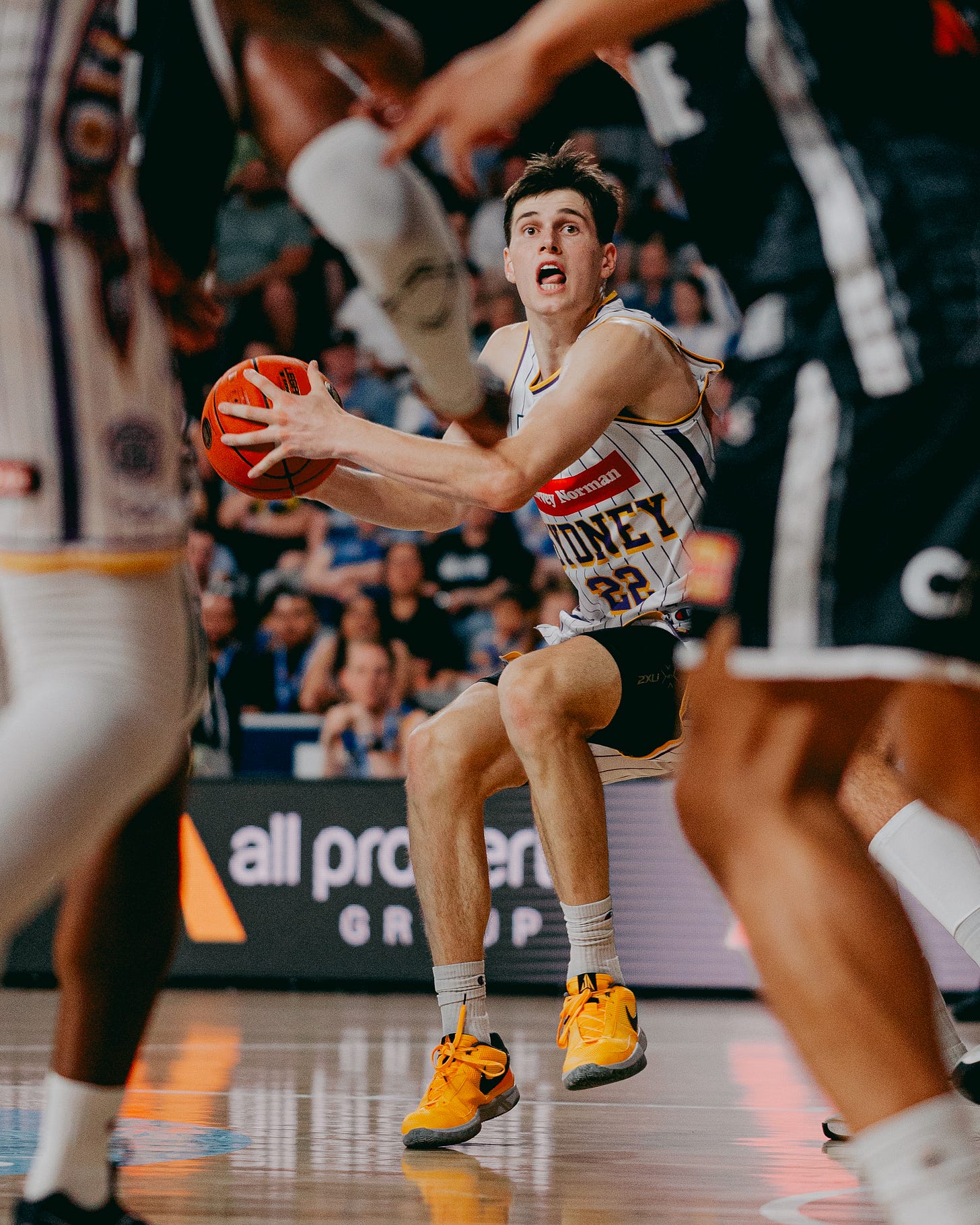 All eyes on Next Star Alex Toohey - by Ashleigh Matosevic