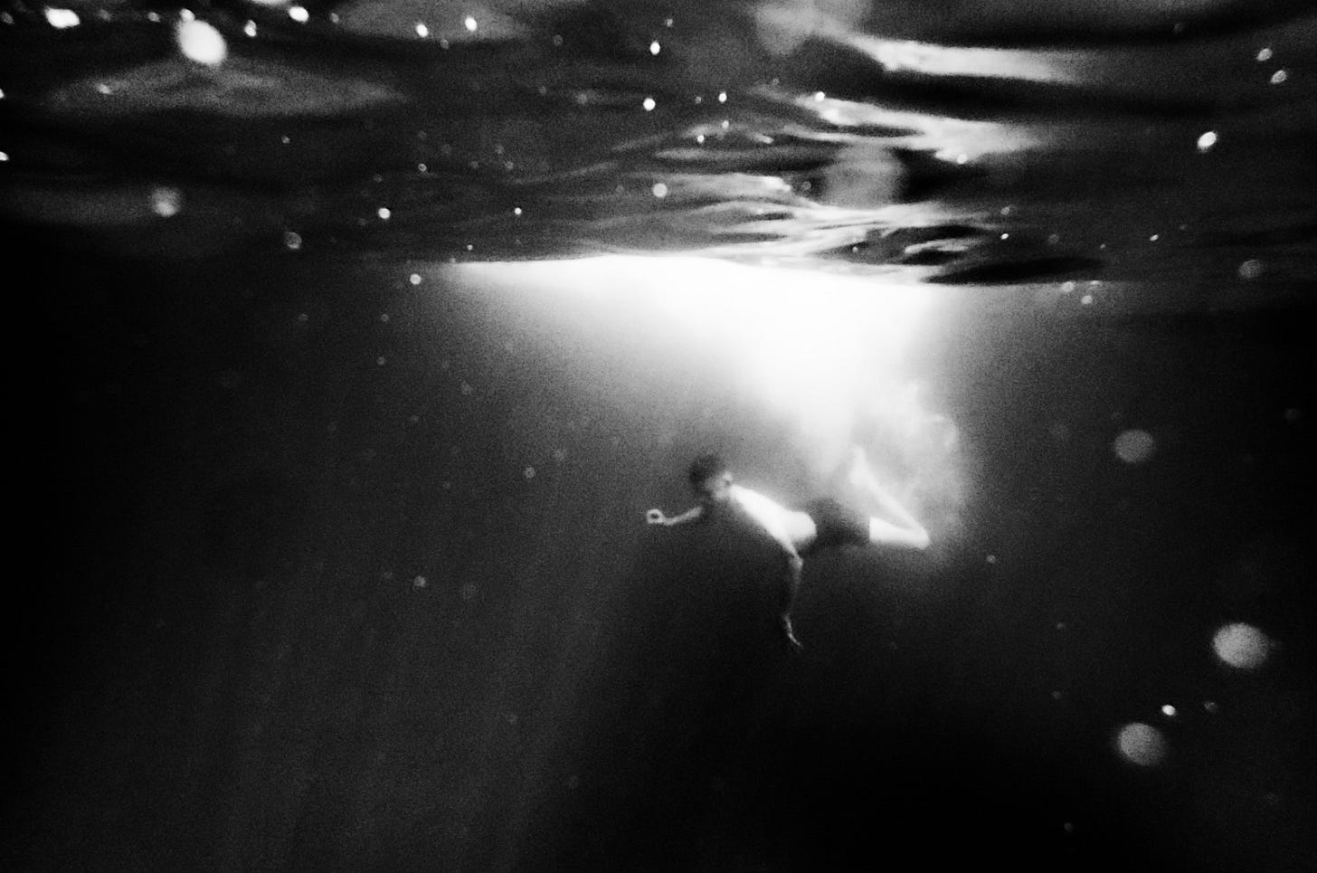 Alison McCauley - PHOTOSNACK