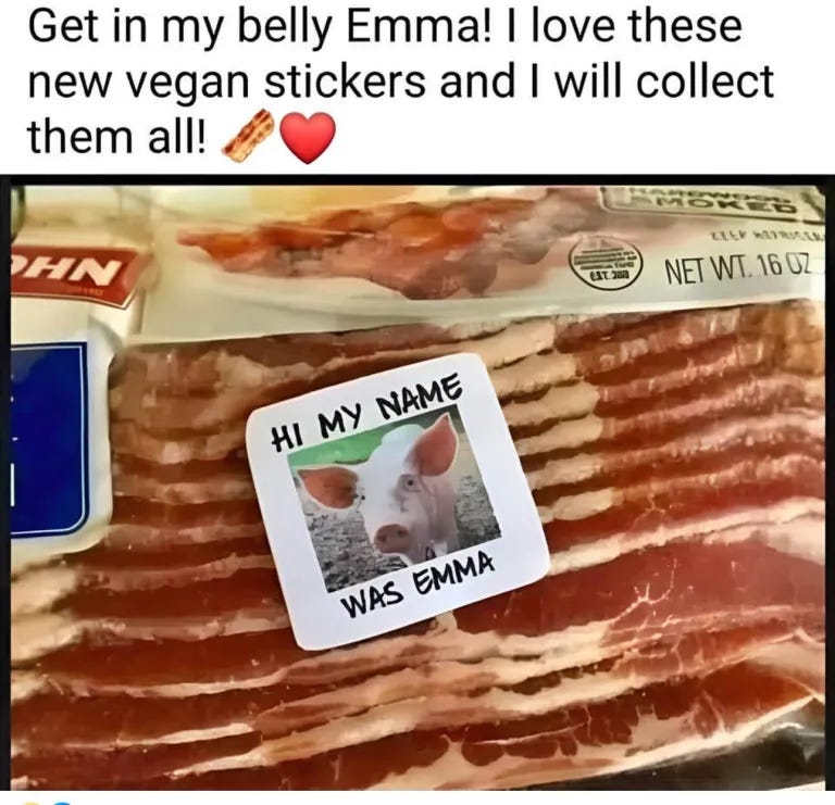 Ann Barnhardt Memes - Edwin’s Newsletter #1