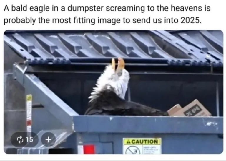 Ann Barnhardt Meme Barrage - Edwin’s Newsletter #1