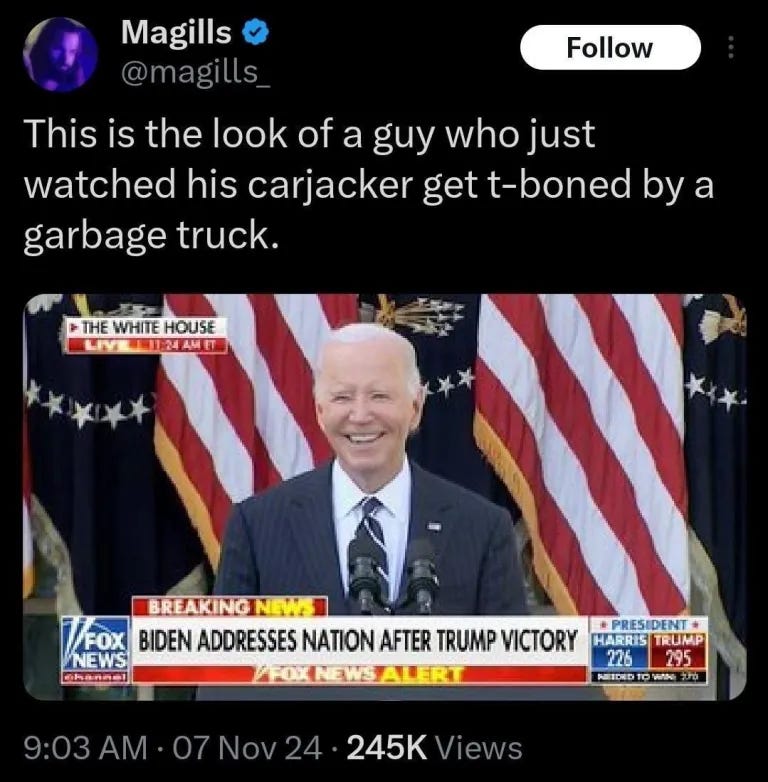 Ann Barnhardt Memes - Edwin’s Newsletter #1