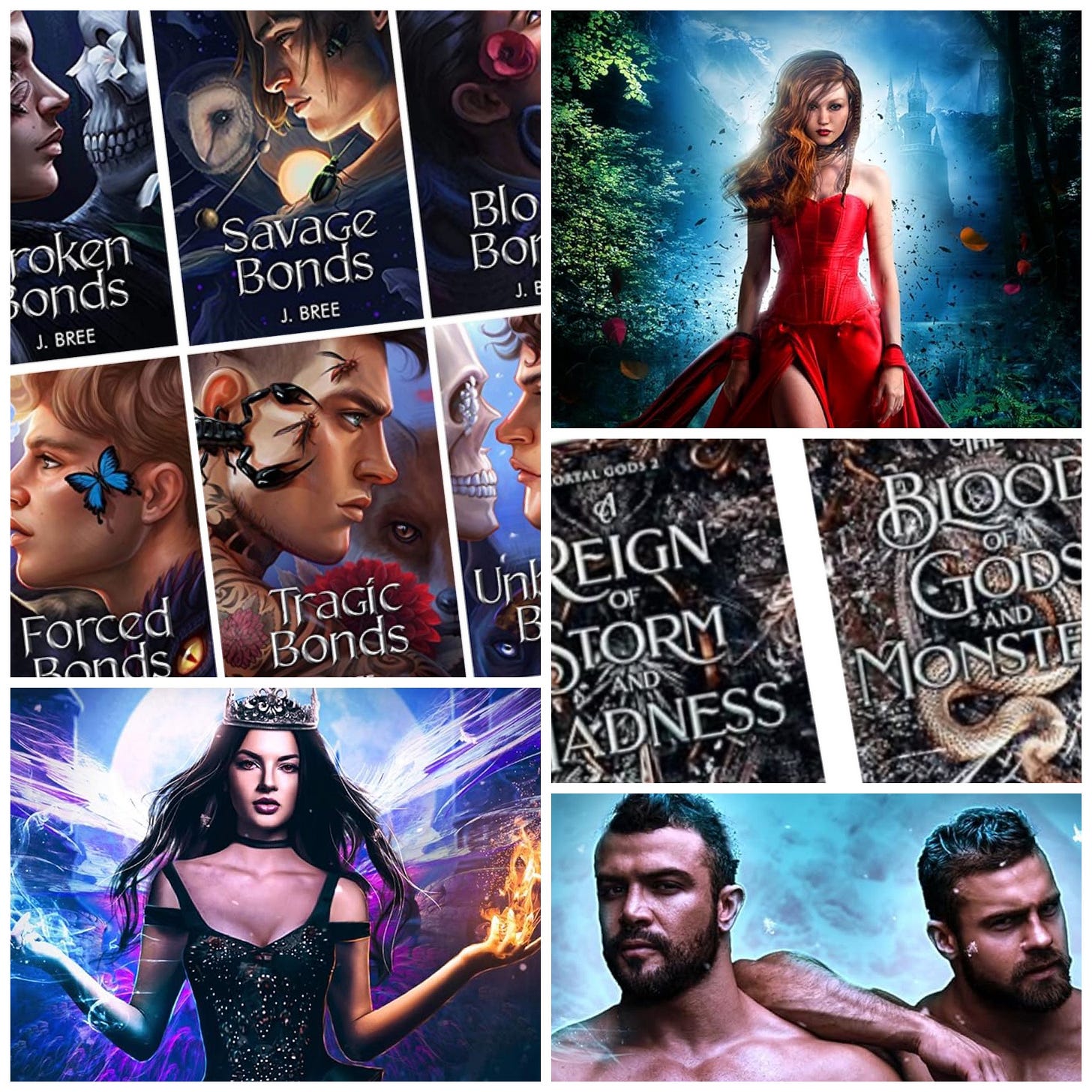 Wondering what Reverse Harem Romantasy is? Start with these 5 series.