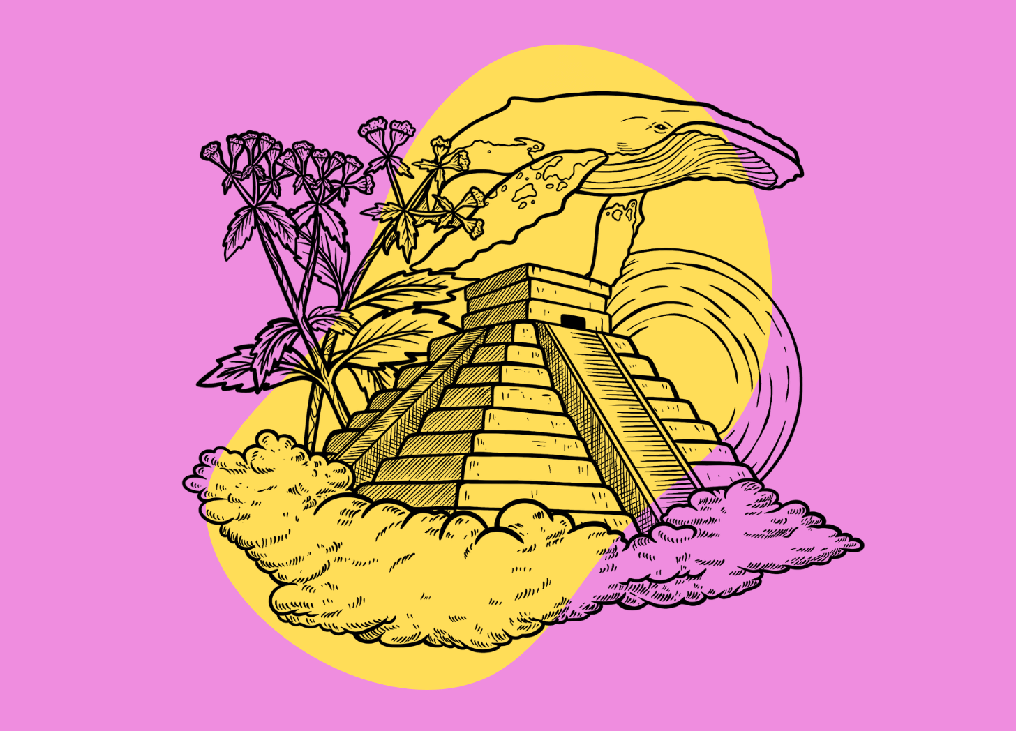 The Mexican Dream Herb: Calea zacatechichi 🌱🌙