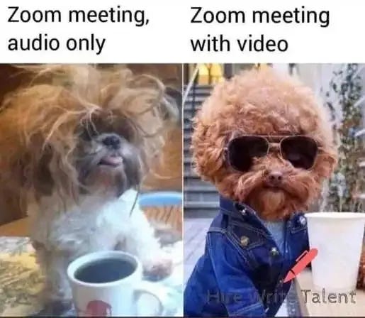 Ann Barnhardt Memes - Edwin’s Newsletter #1