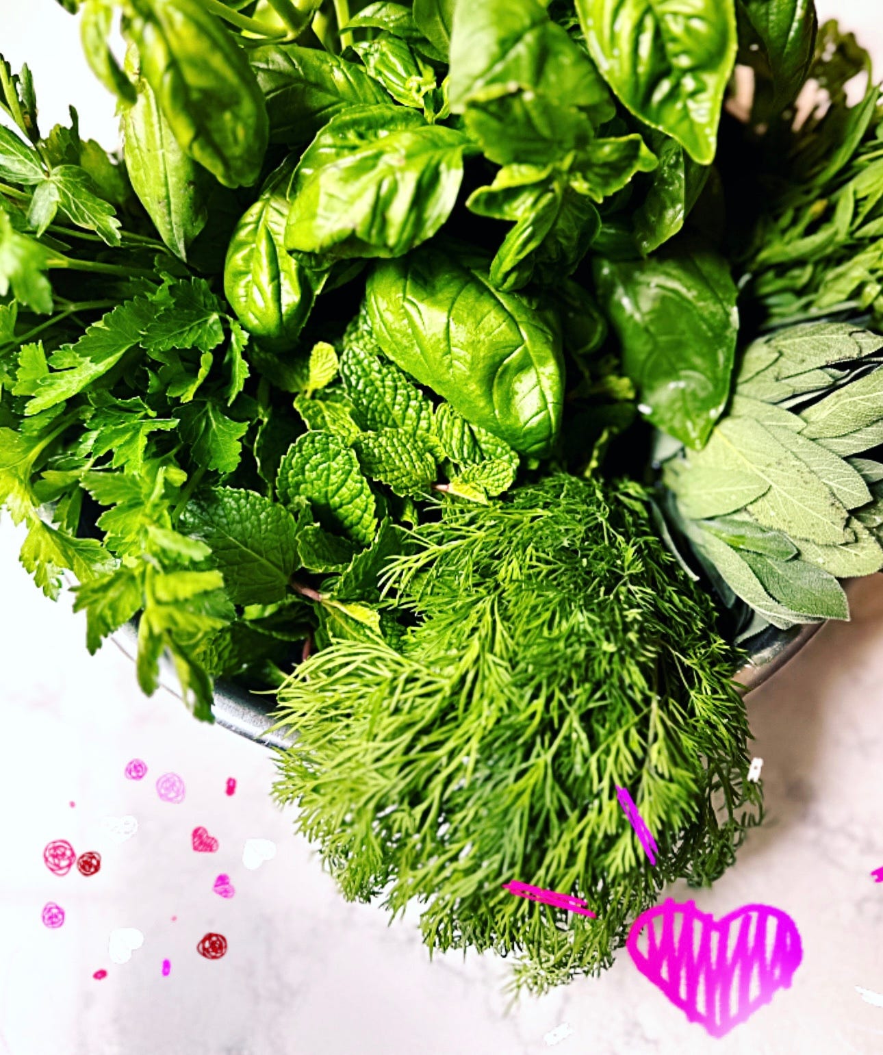 Herbs in Salads to Make You Feel Alive! 🪴 - by emily nunn