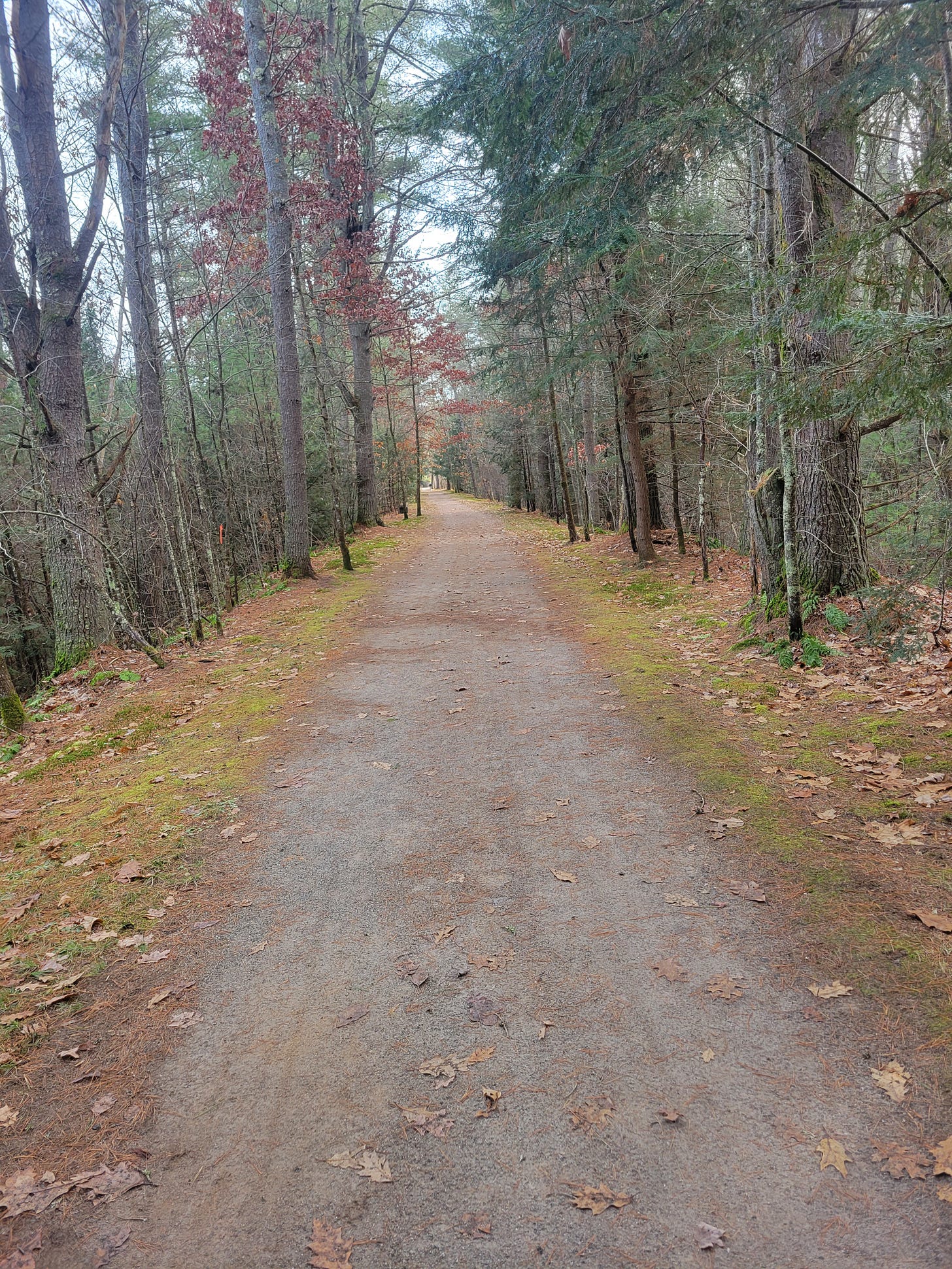 48 Hours - by David M. Poff - Hermit Chronicles