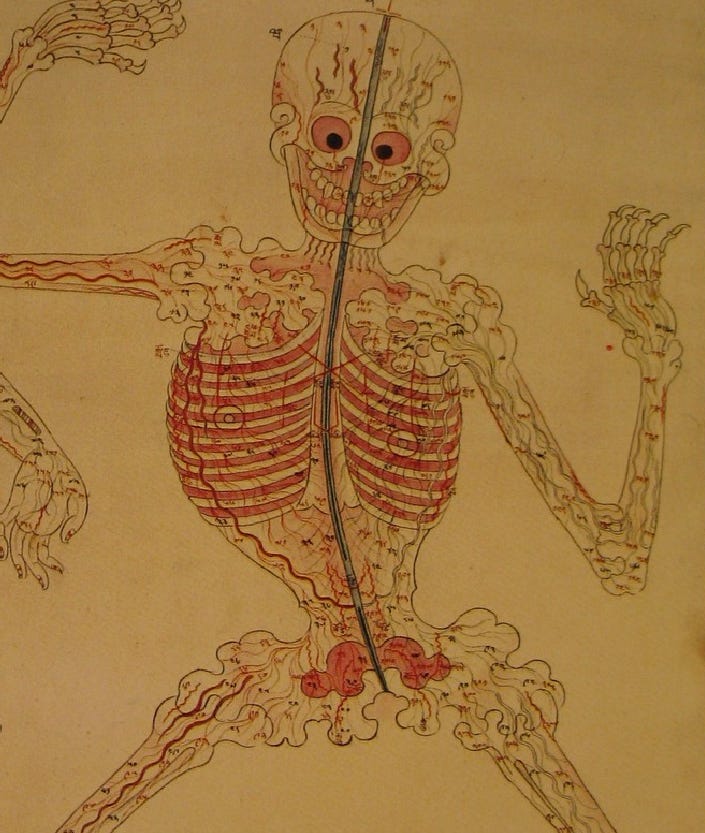 The Nāḍī System of Kālacakra Tantra: Six Primary Chakras and Twelve ...