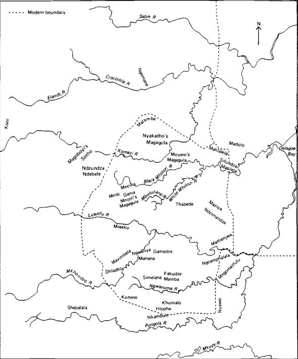 The Swazi kingdom and its neighbours in the 19th century: from the rise ...