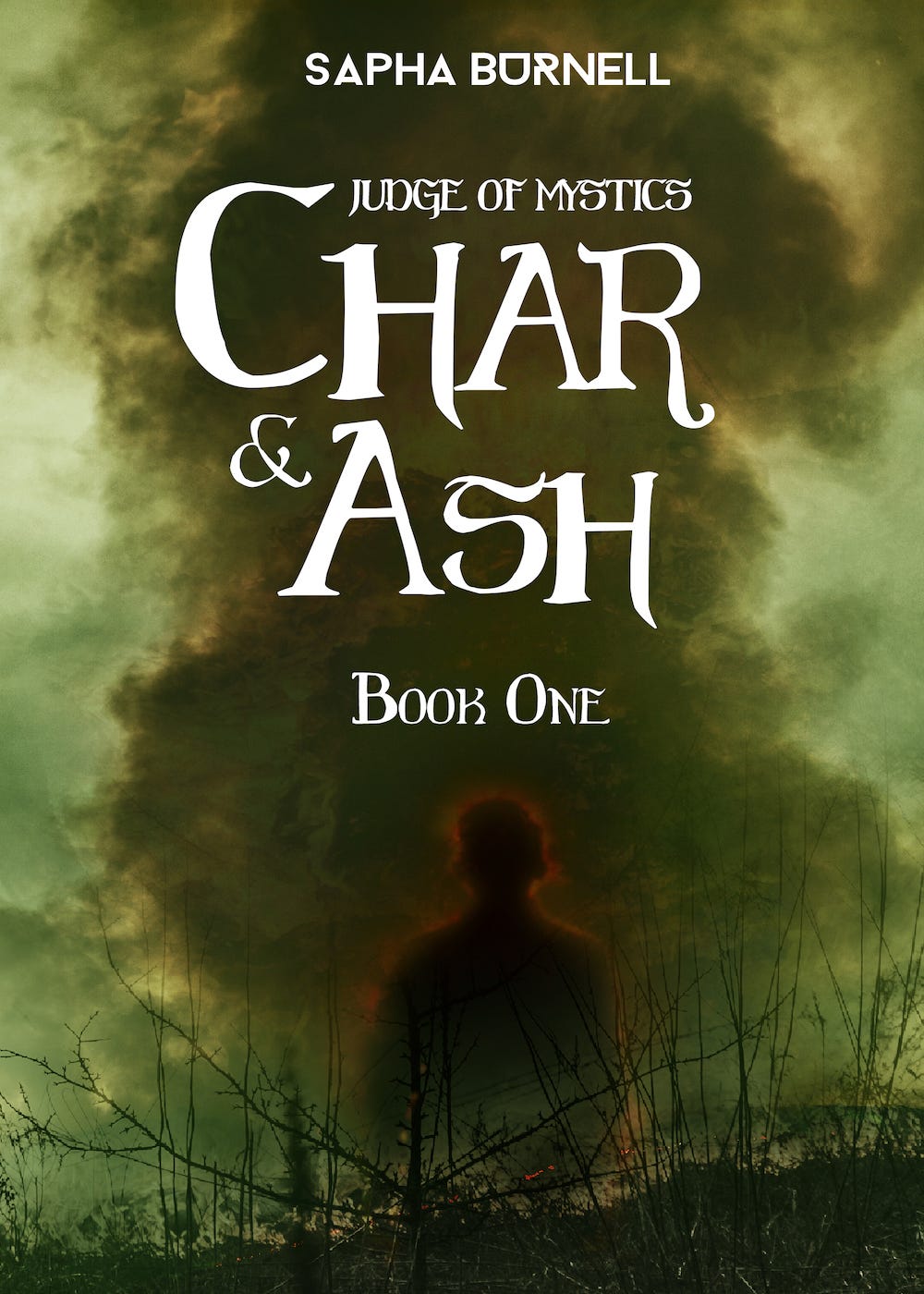 Podcast Interview: Char and Ash Talk with Book 101 Review