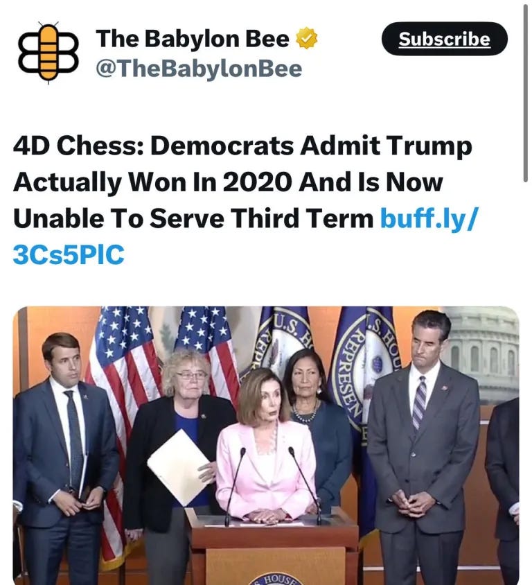 Ann Barnhardt Memes - Edwin’s Newsletter #1