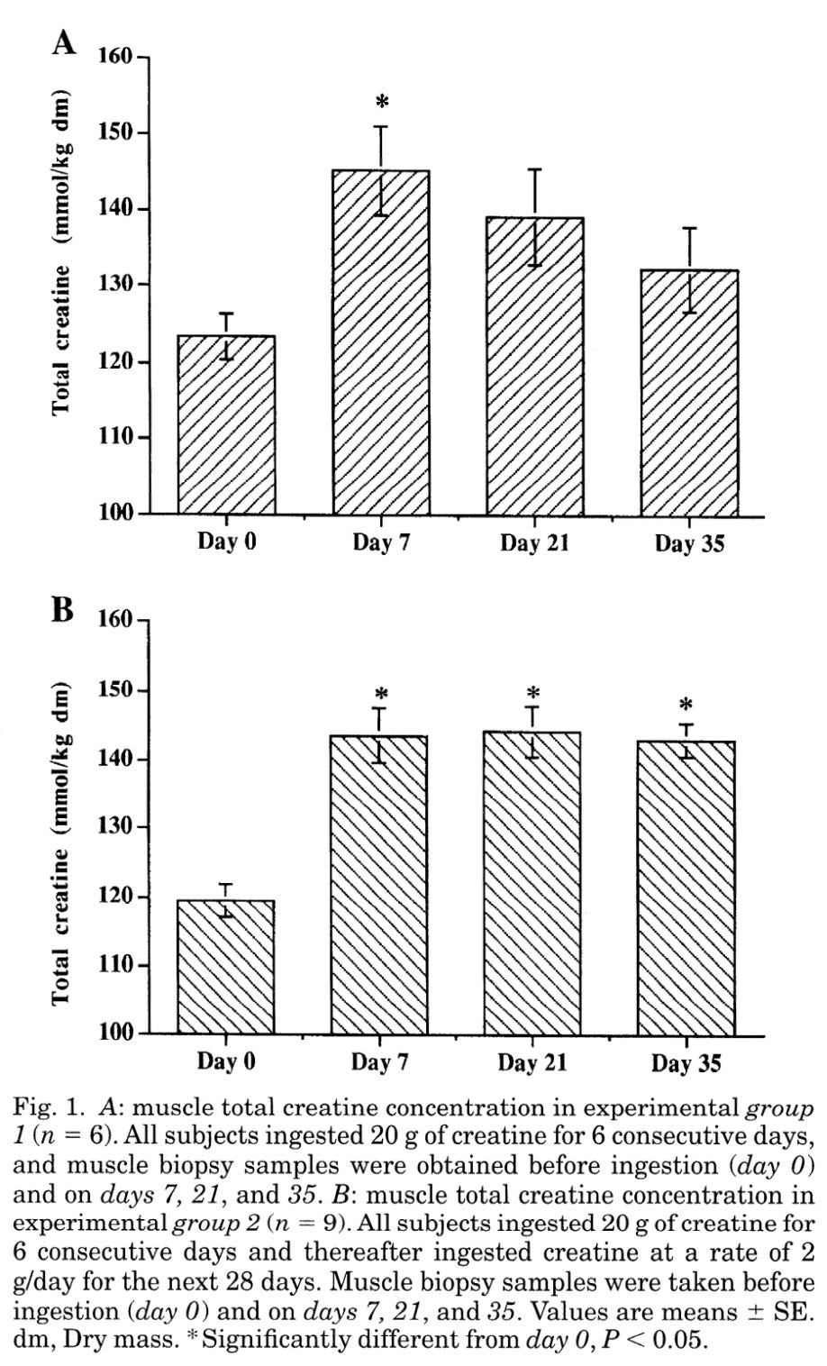 Your Cells Are Starving for Creatine