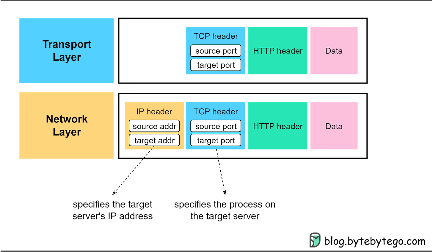 Everything You Always Wanted to Know About TCP But Too Afraid to Ask
