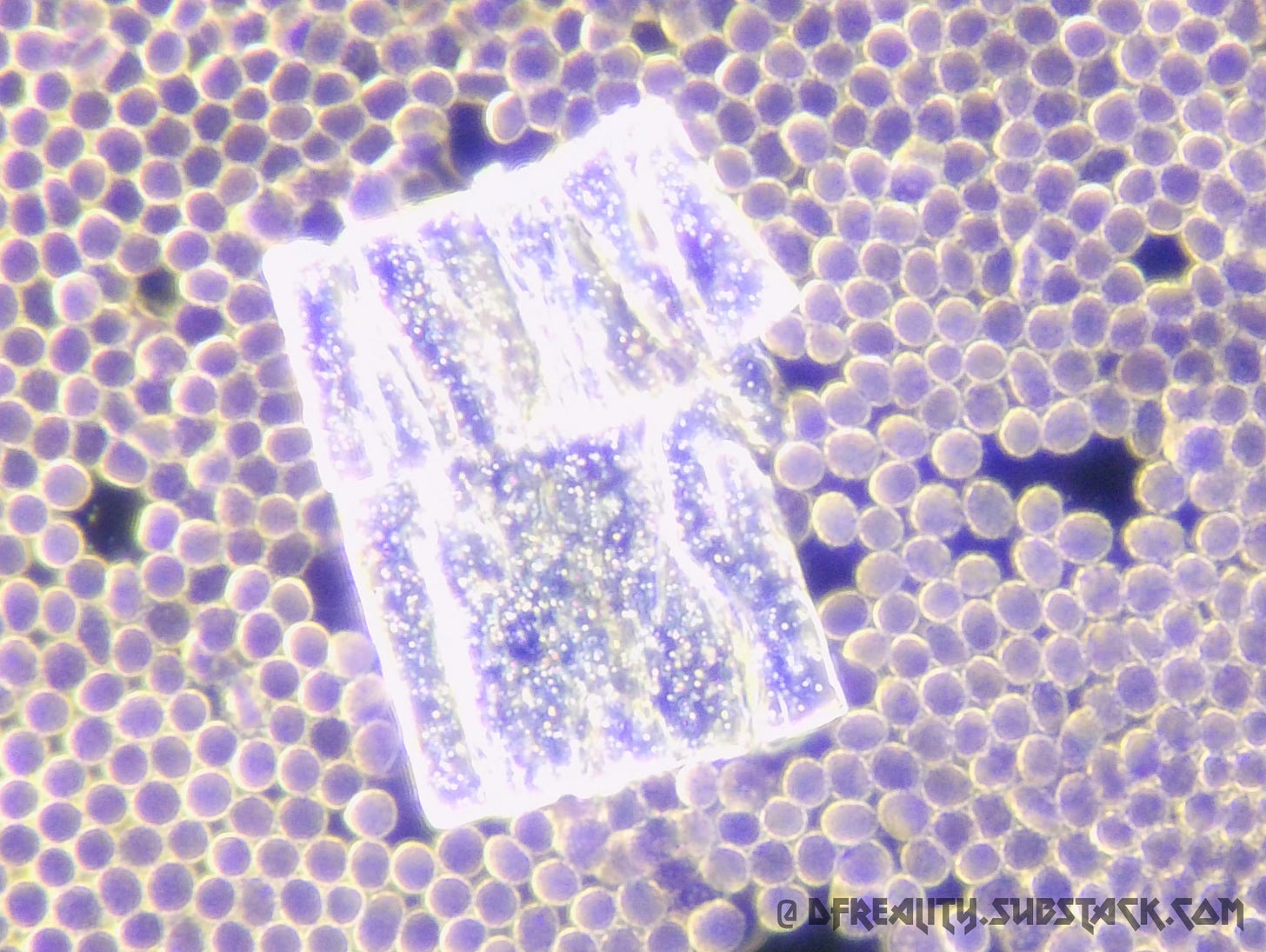 The Forced Evolution of Humanity: FIRST-HAND EVIDENCE of nanotechnology ...