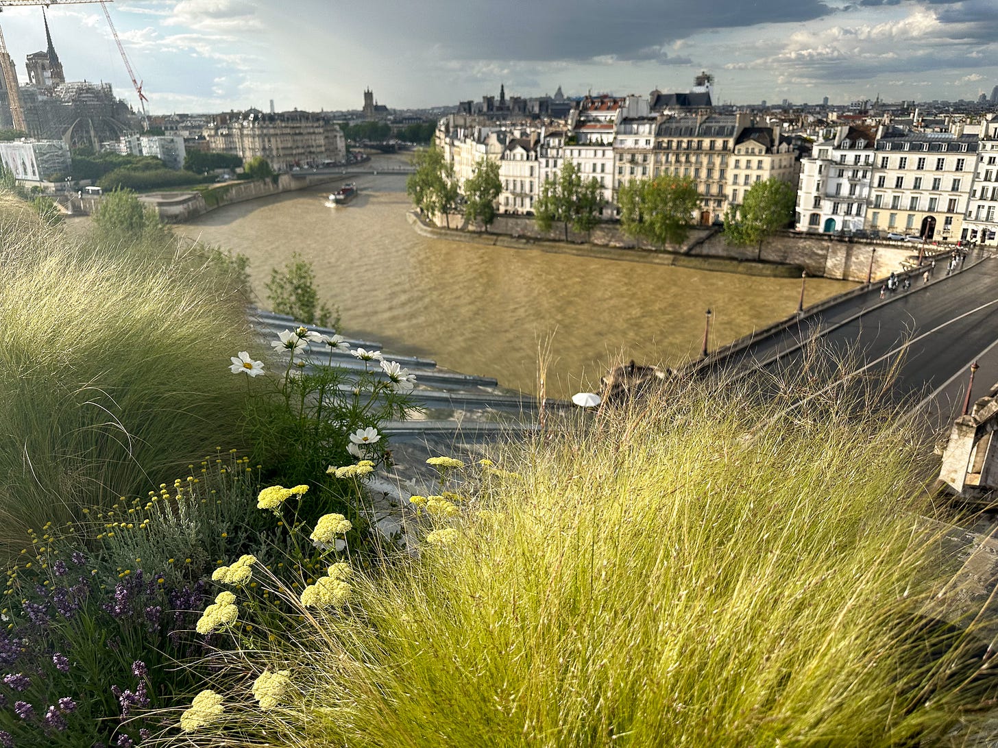 Le Toit - by Meg Zimbeck - PARIS BY MOUTH