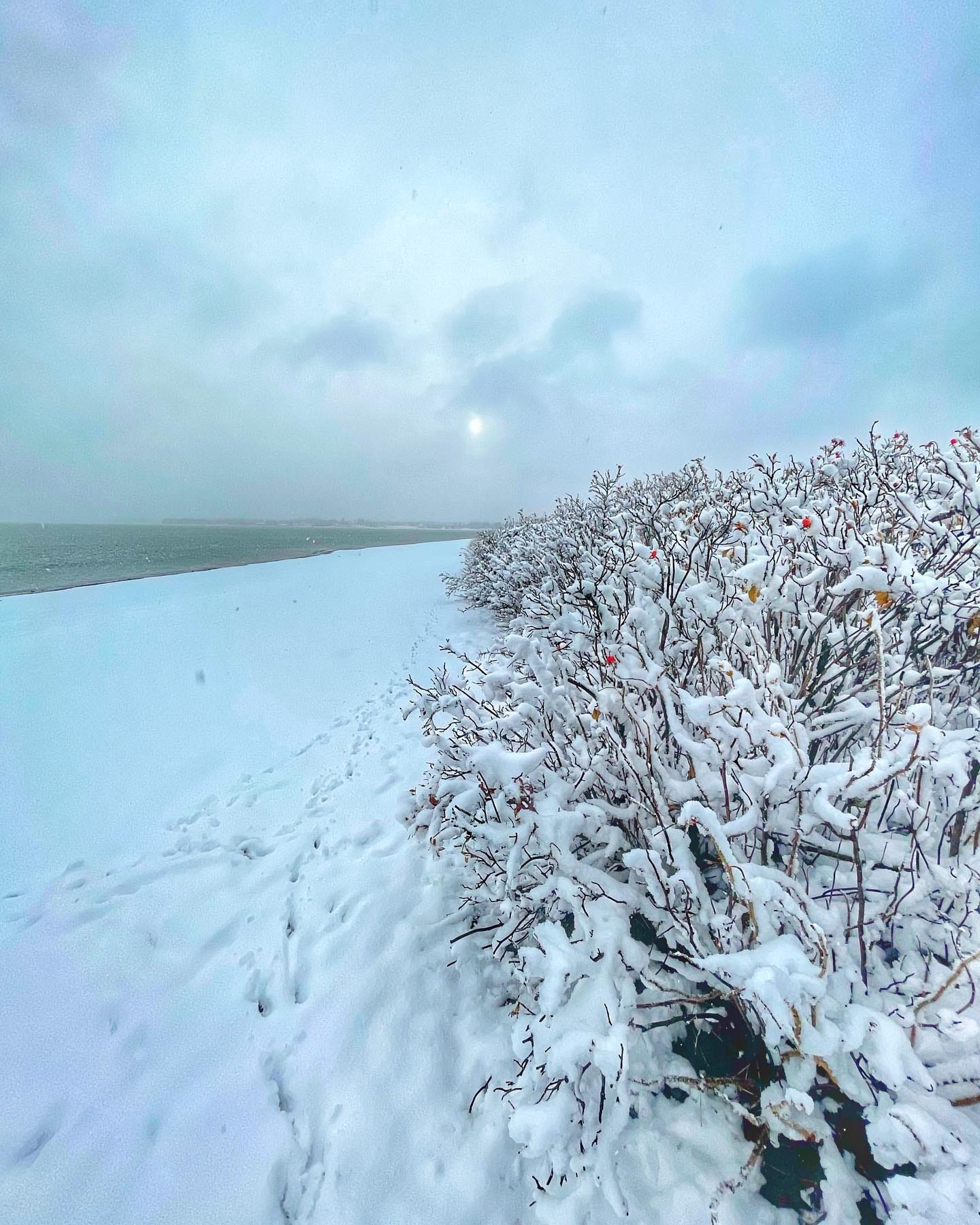 "I trudged through new-fallen snow ..." - Paul Maher Jr.