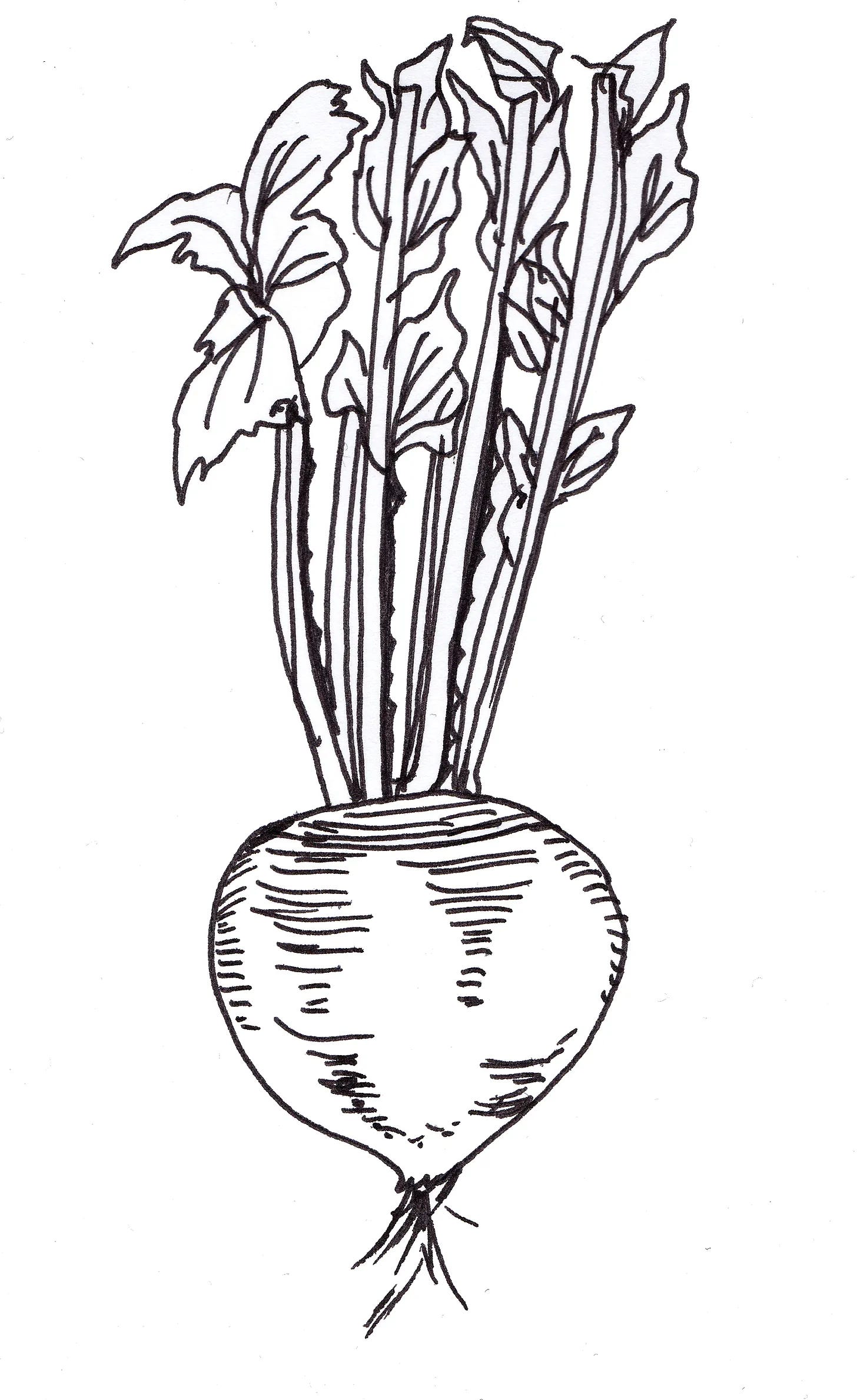 The Pandemic - Vittles