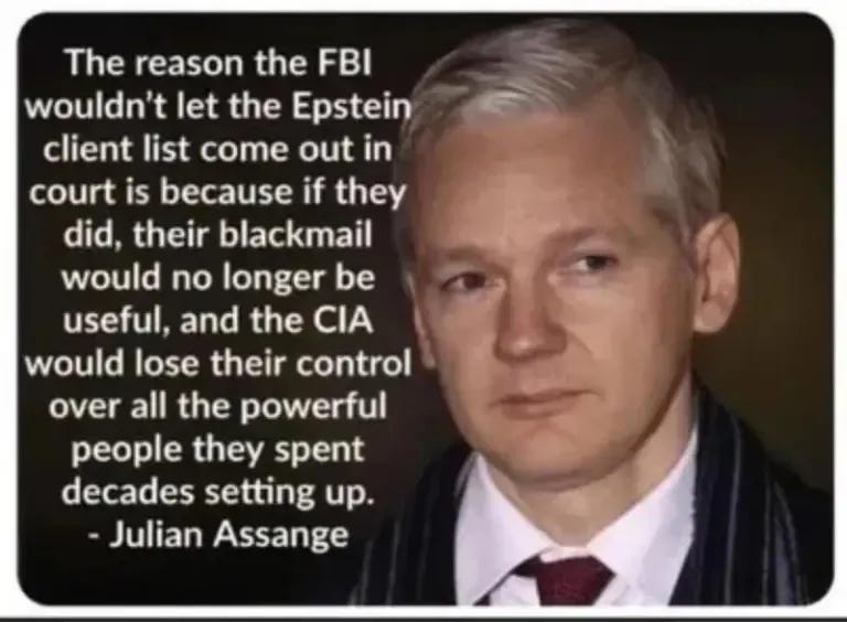 Ann Barnhardt Meme Barrage - Edwin’s Newsletter #1