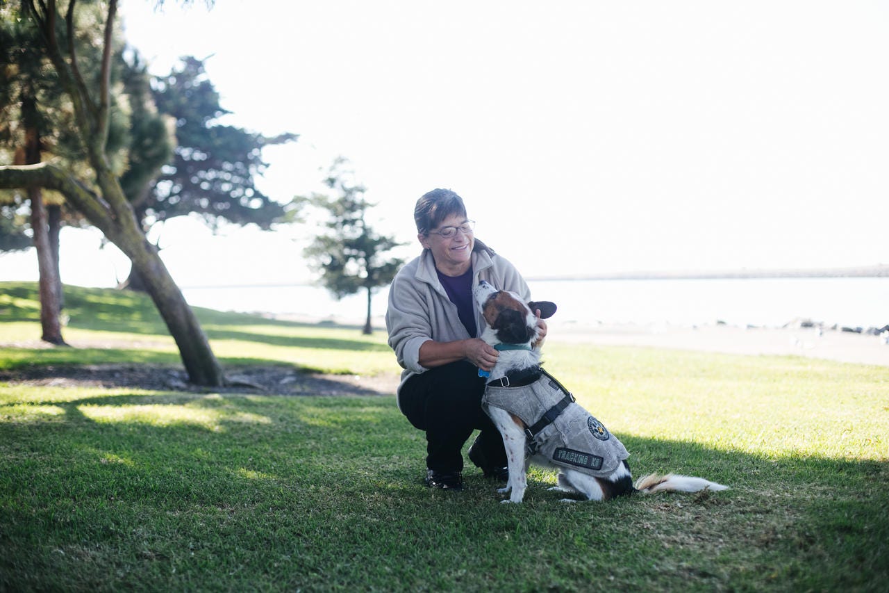 I Hired a Real-Life Pet Detective - by Daniela Blei