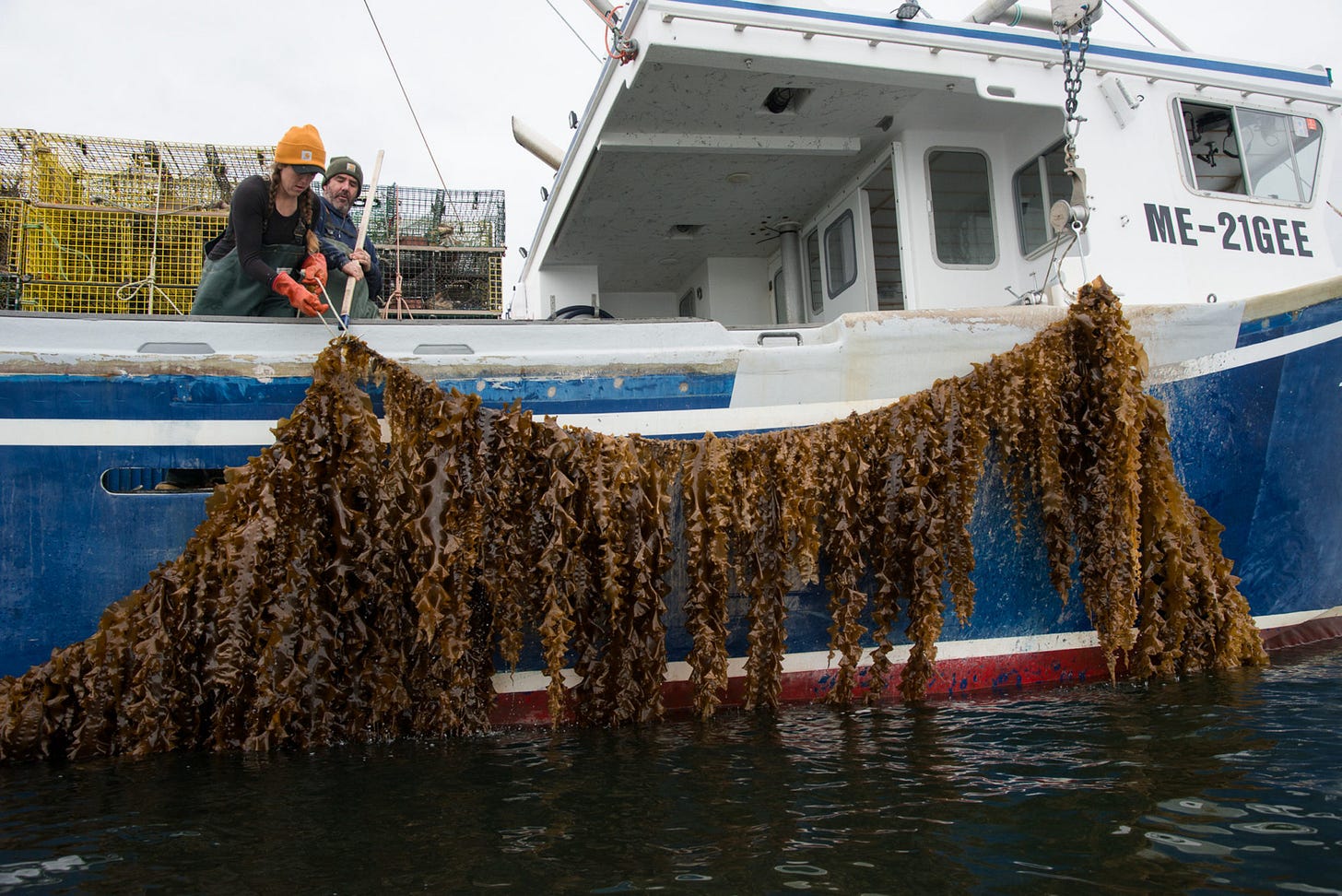 The Sea Farming Sisters in Recovery - by Jennifer Adler